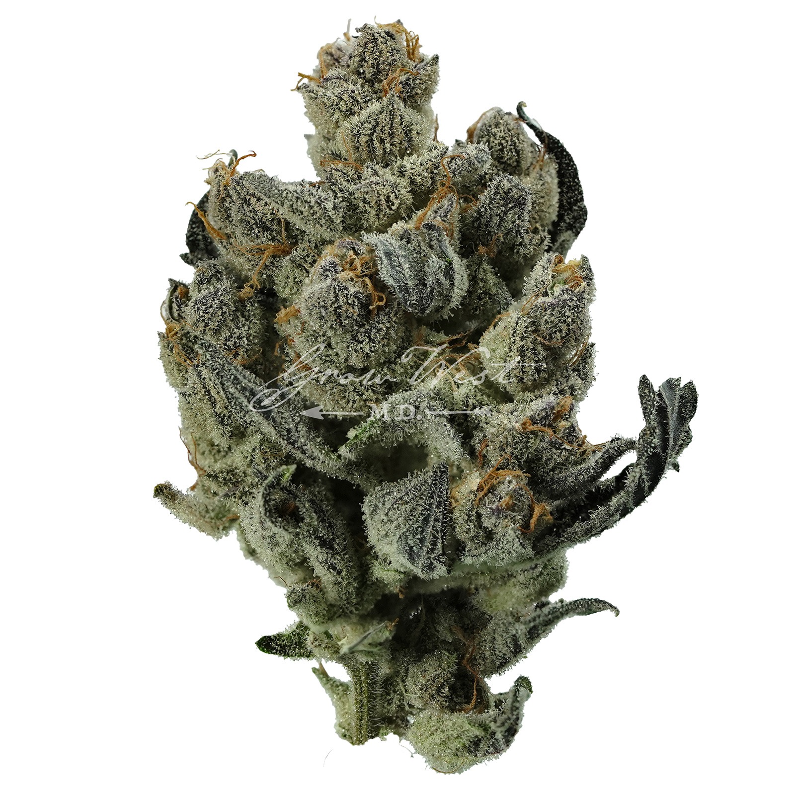 Grow West Cannabis Company: Mad Tiger Untrimmed | Silver | Leafly