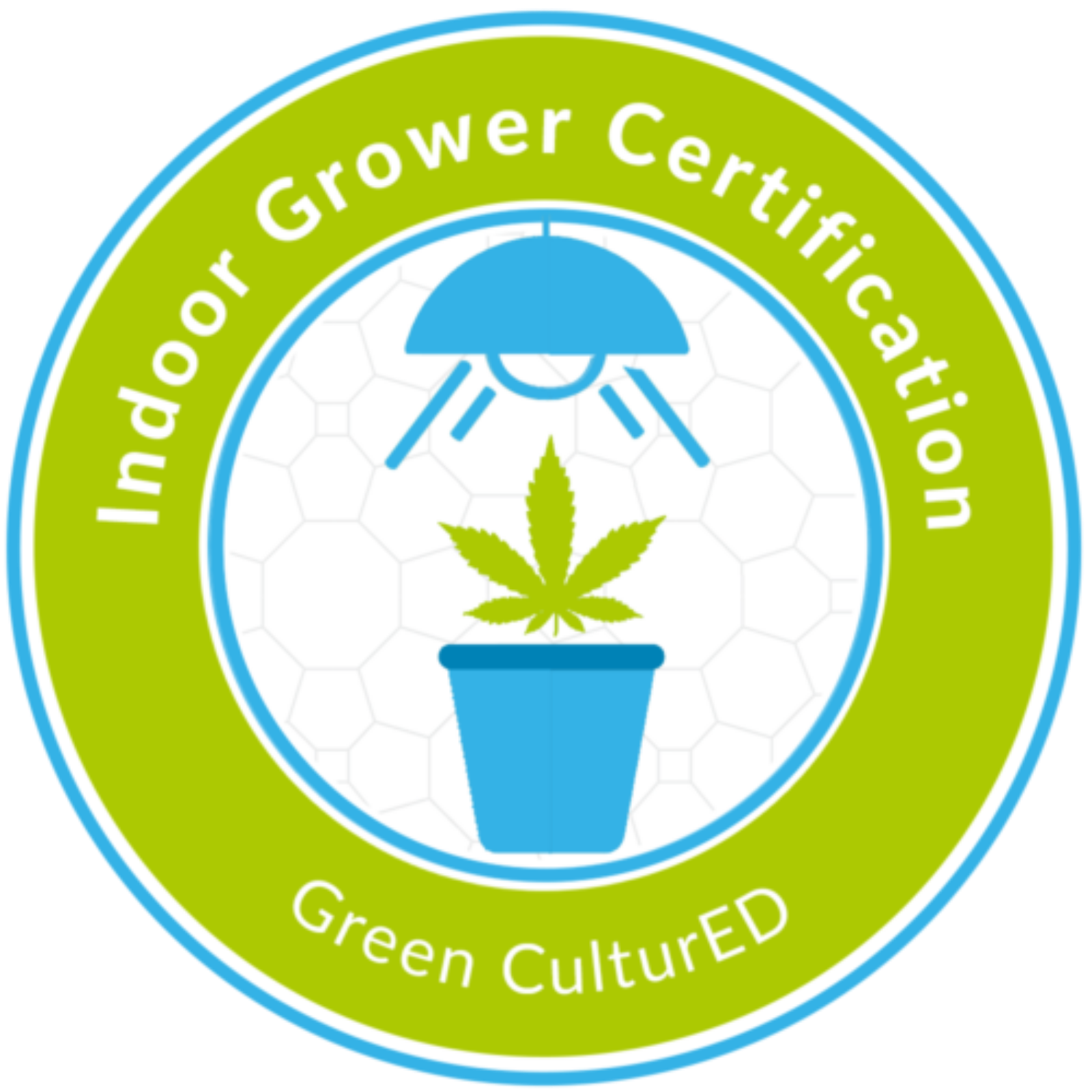 Cannabis Schools Online | Cannabis Stores Online: Indoor Grower ...