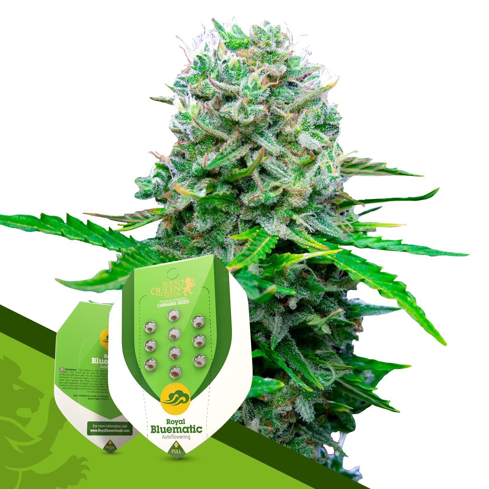 Royal Queen Seeds: Royal Bluematic | Leafly