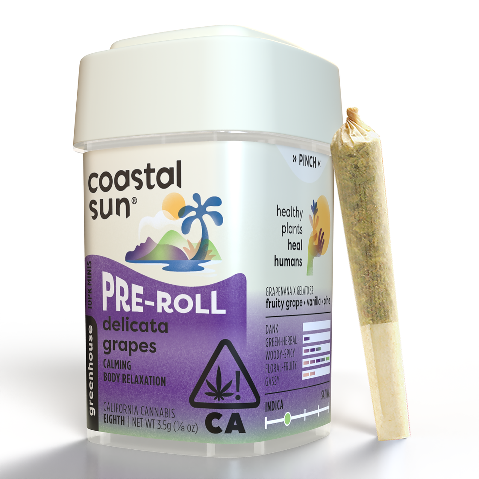 Coastal Sun Farm: Delicata Grapes Greenhouse Pre-Roll 10-Pack | Leafly