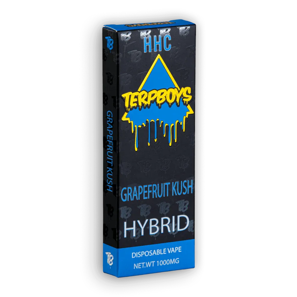 Terp Boys: Hybrid HHC Disposable Vapes 1000mg | Leafly