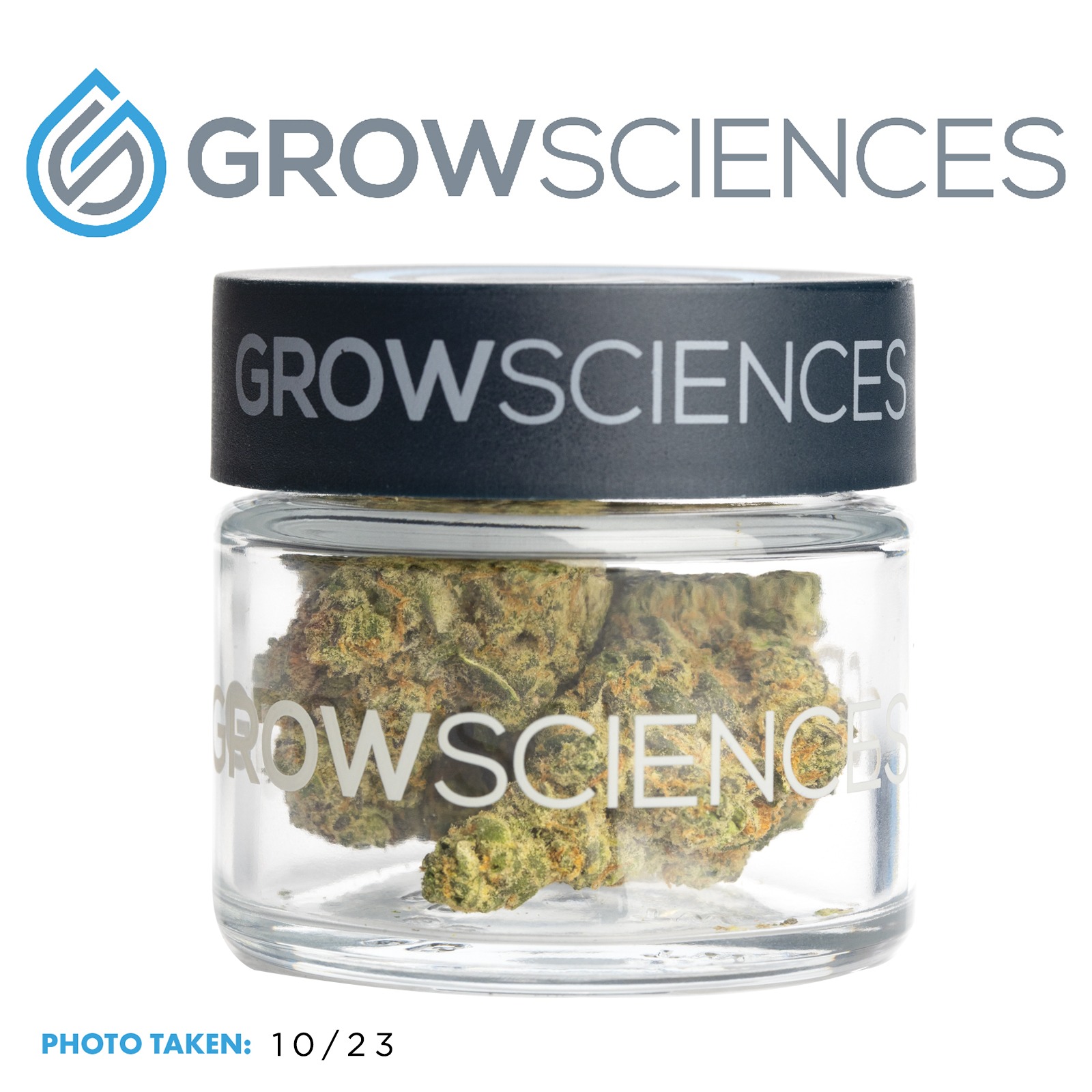 Grow Sciences: Animal Mint Cake (3.7) | Leafly