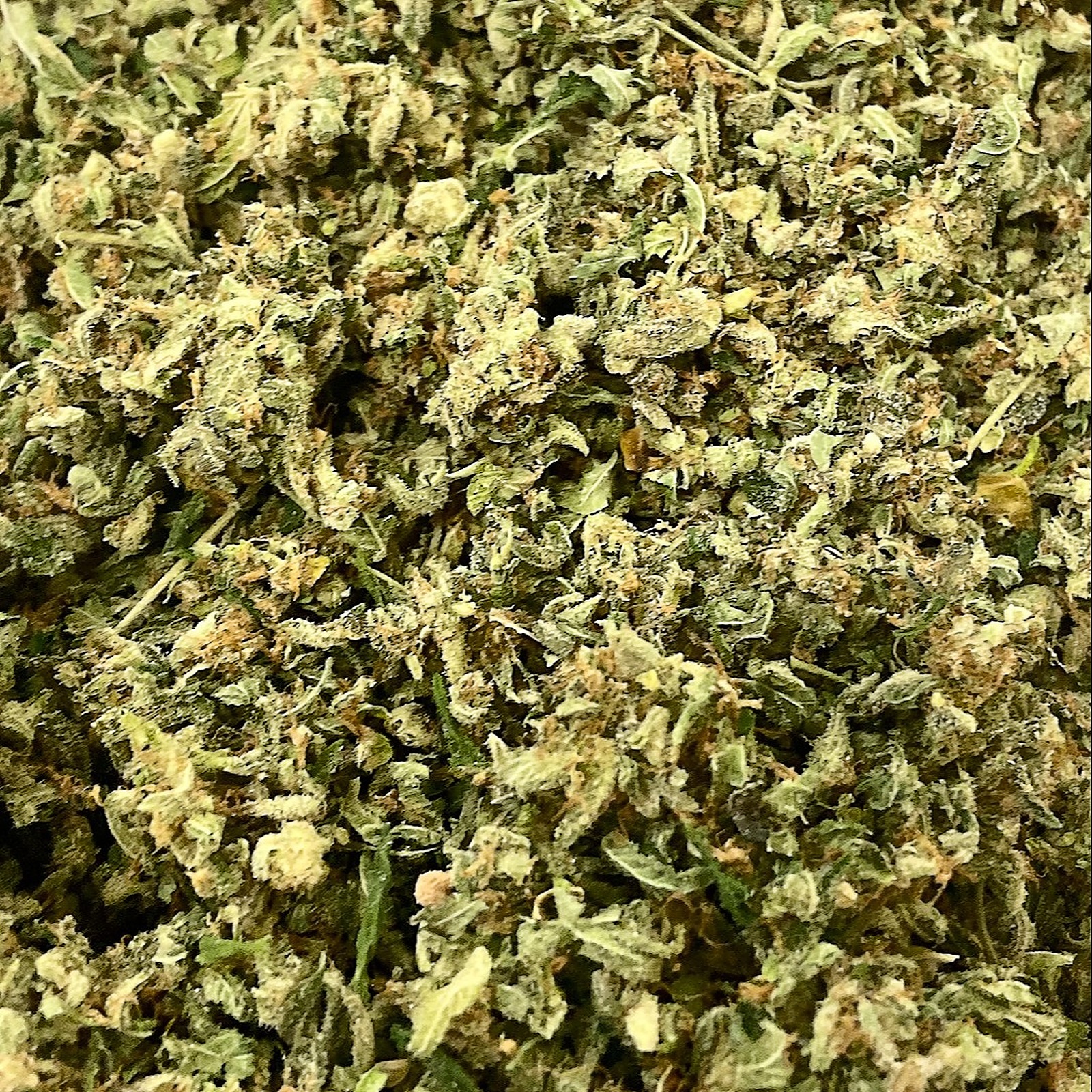 7 Leaf OK: Spec Ops Shake | Leafly