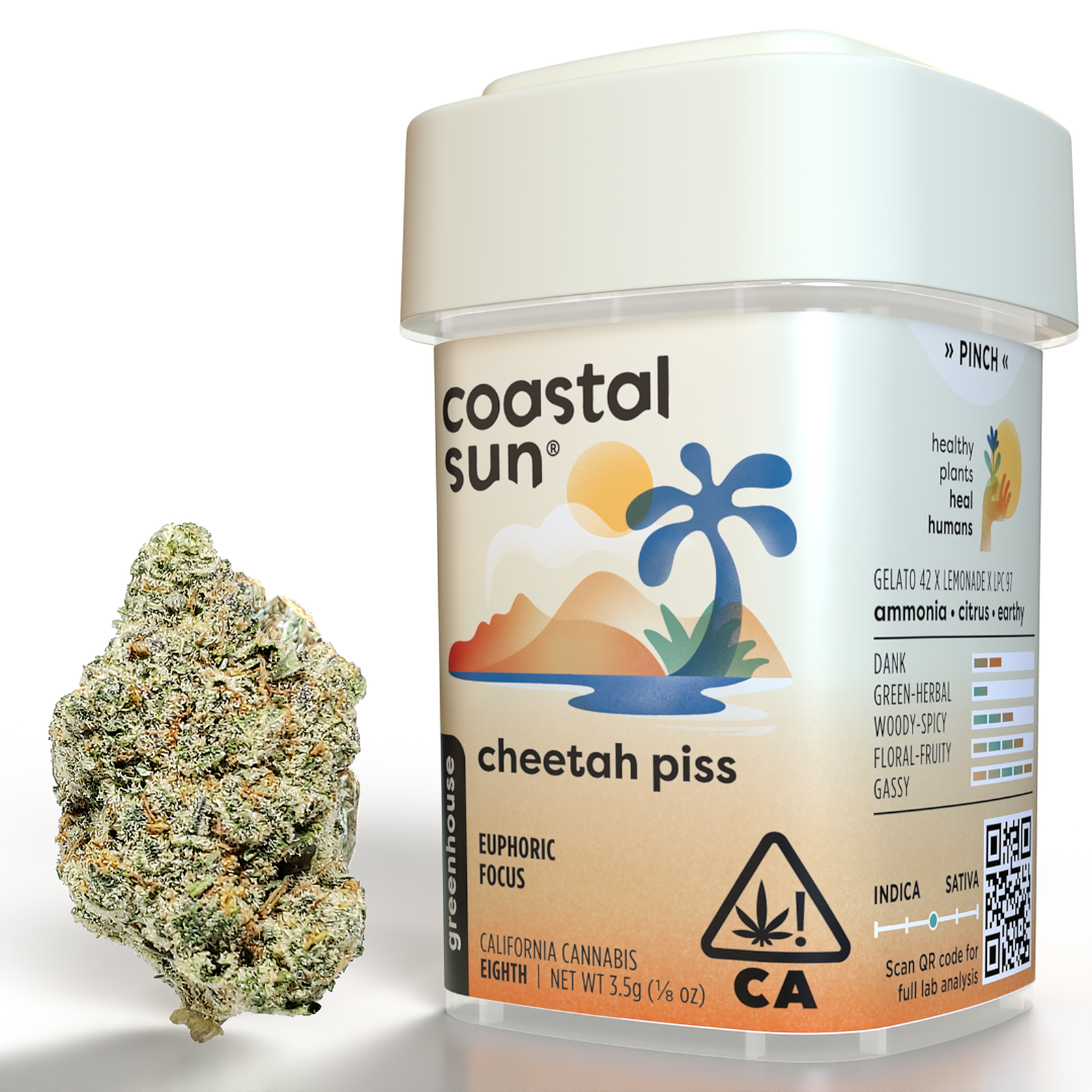 Coastal Sun Farm: Cheetah Piss Greenhouse Flower | Leafly