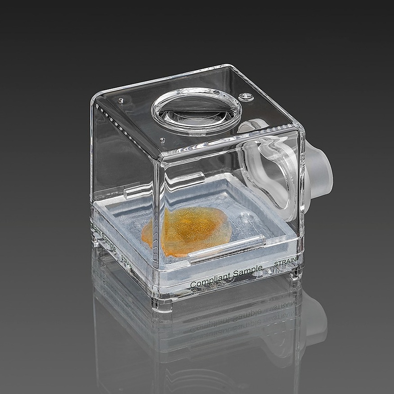 Bud Bar Displays®: Puff-X Pod™ | Leafly