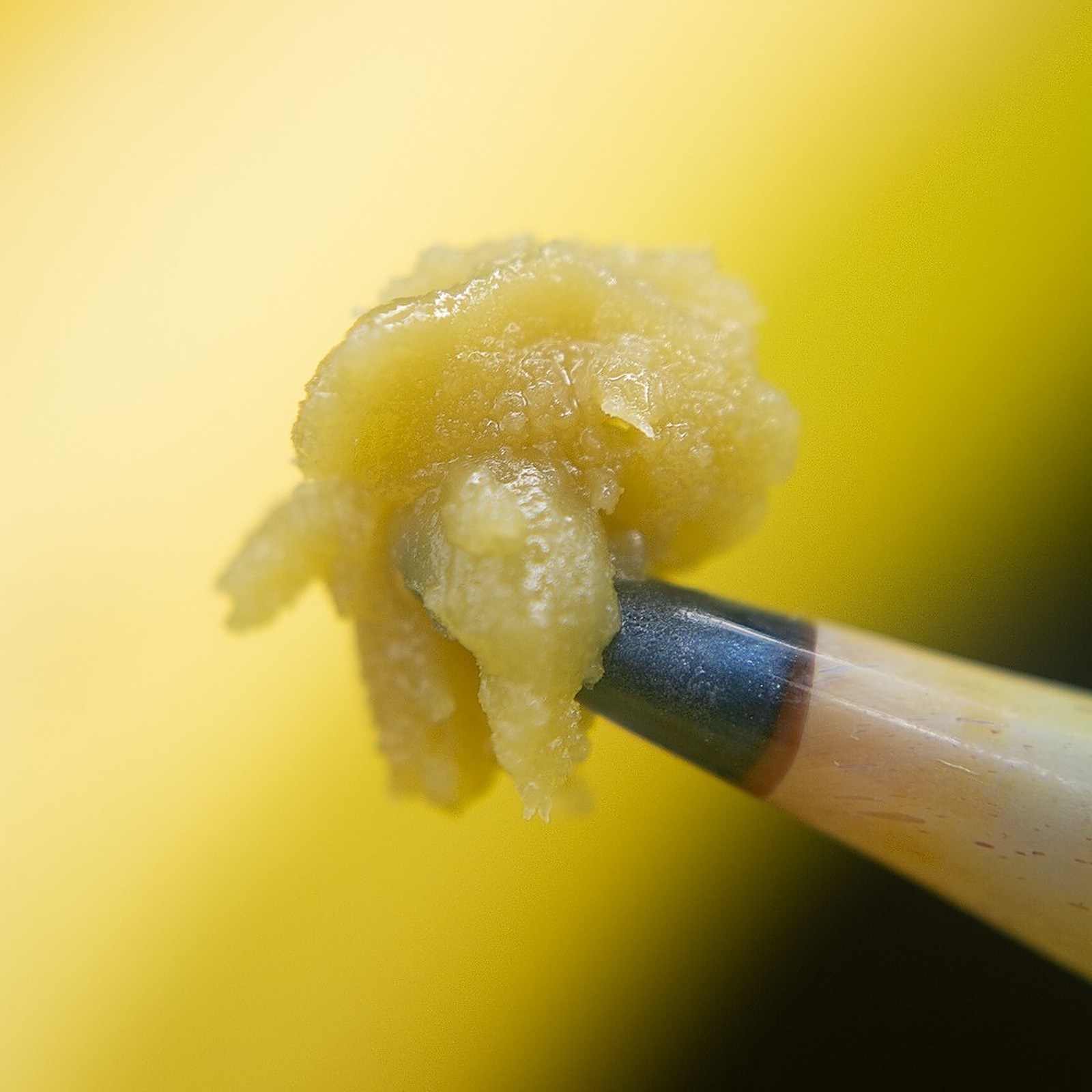 Funk Extracts: Banana Cream Cold Cure Live Rosin Batter | Leafly