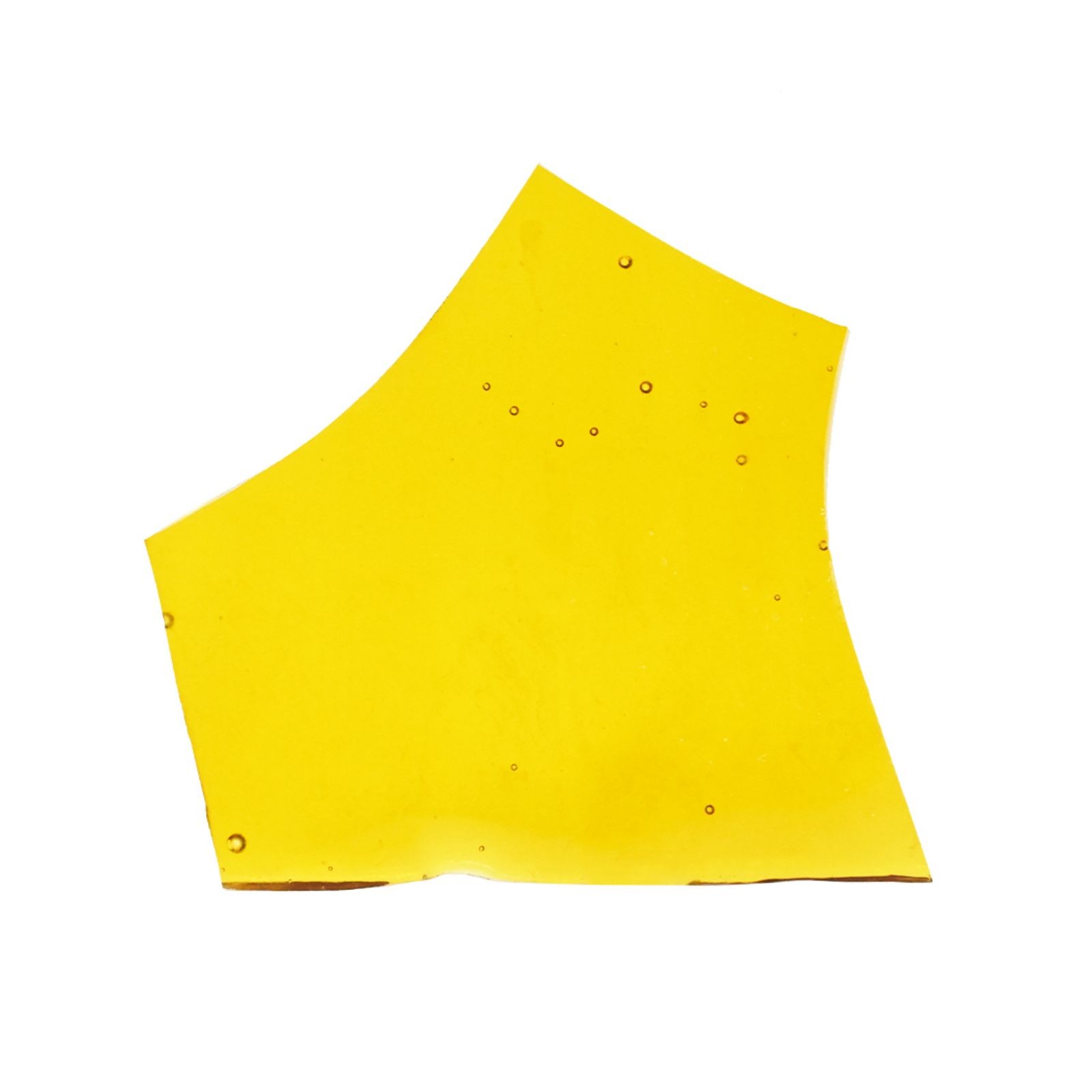 NW KIND: Tropicanna Kookiez Platinum Shatter 1g | Leafly