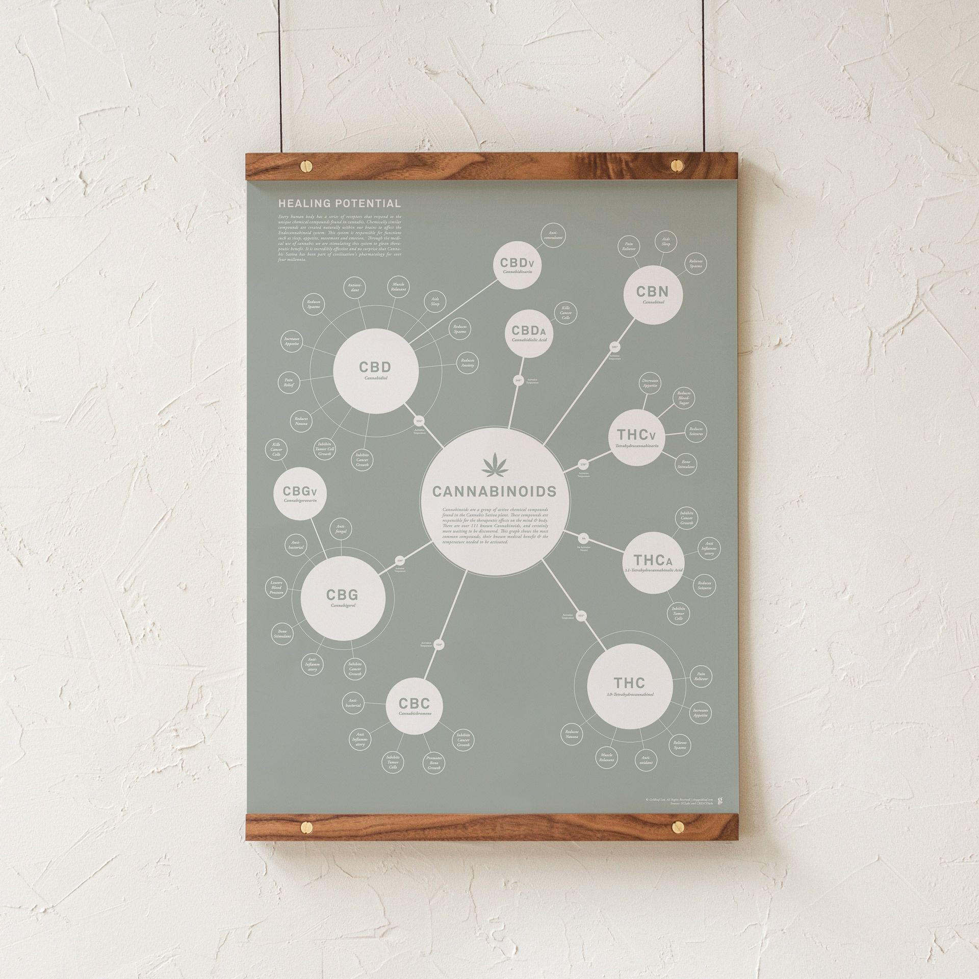 Goldleaf: Chart of Cannabinoids Infographic Print / Poster | Leafly