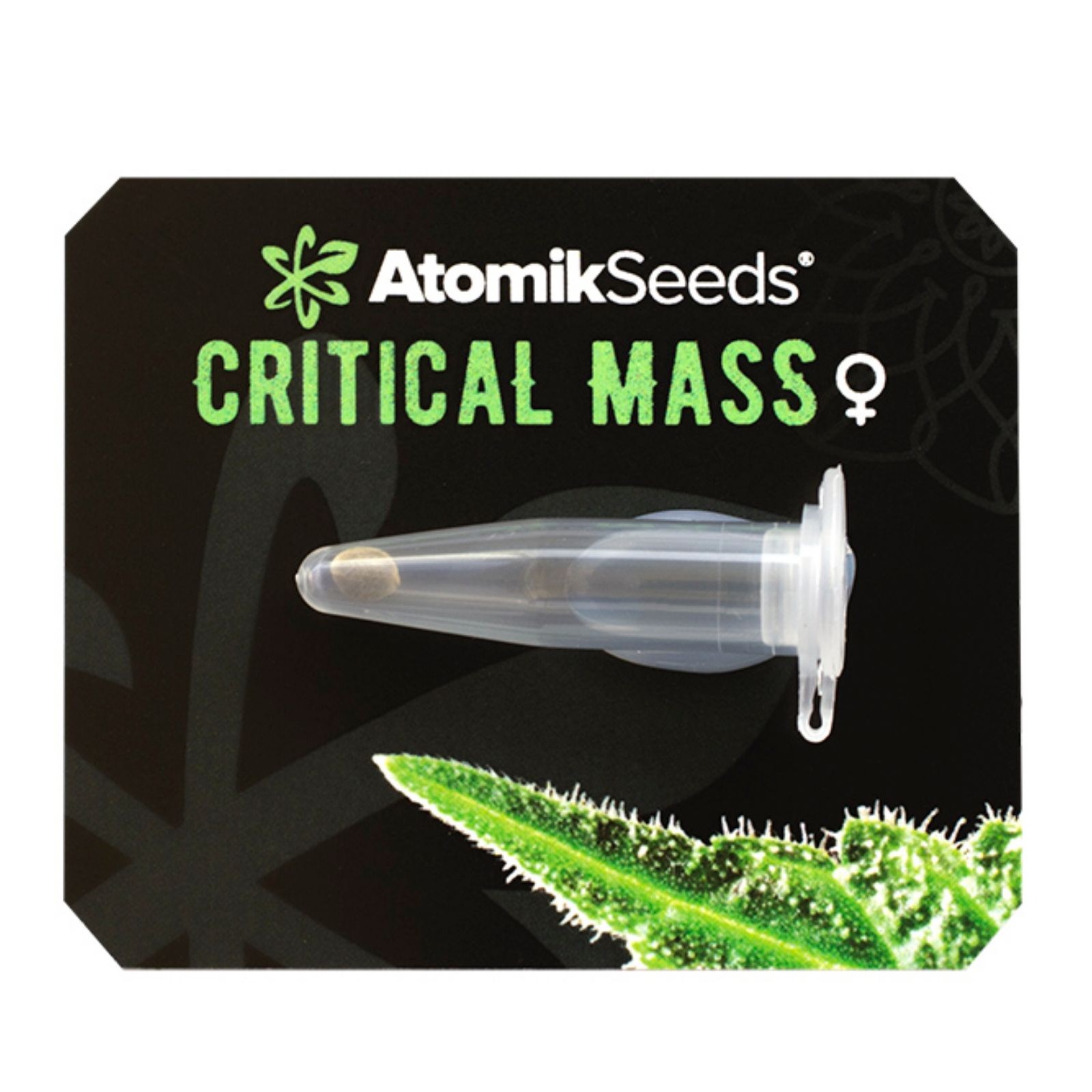 Atomik Seeds: Critical Mass feminized cannabis seeds | Leafly