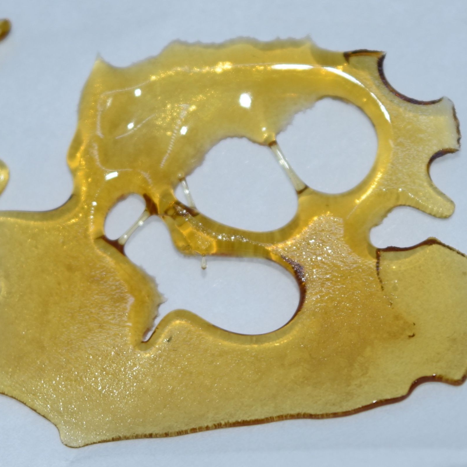 Kush Concentrates: The White BHO Shatter (Hybrid) "Small Batch R632 ...