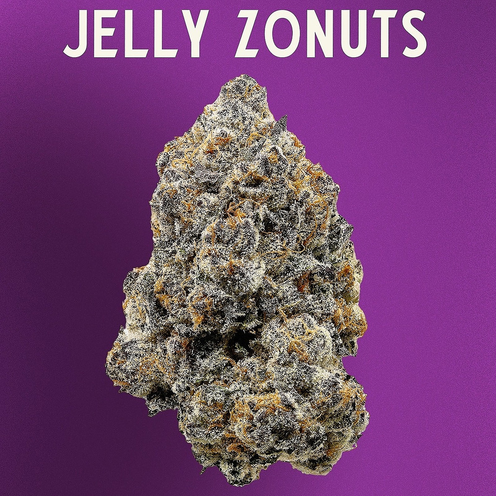 INSA: Jelly Zonuts | Leafly