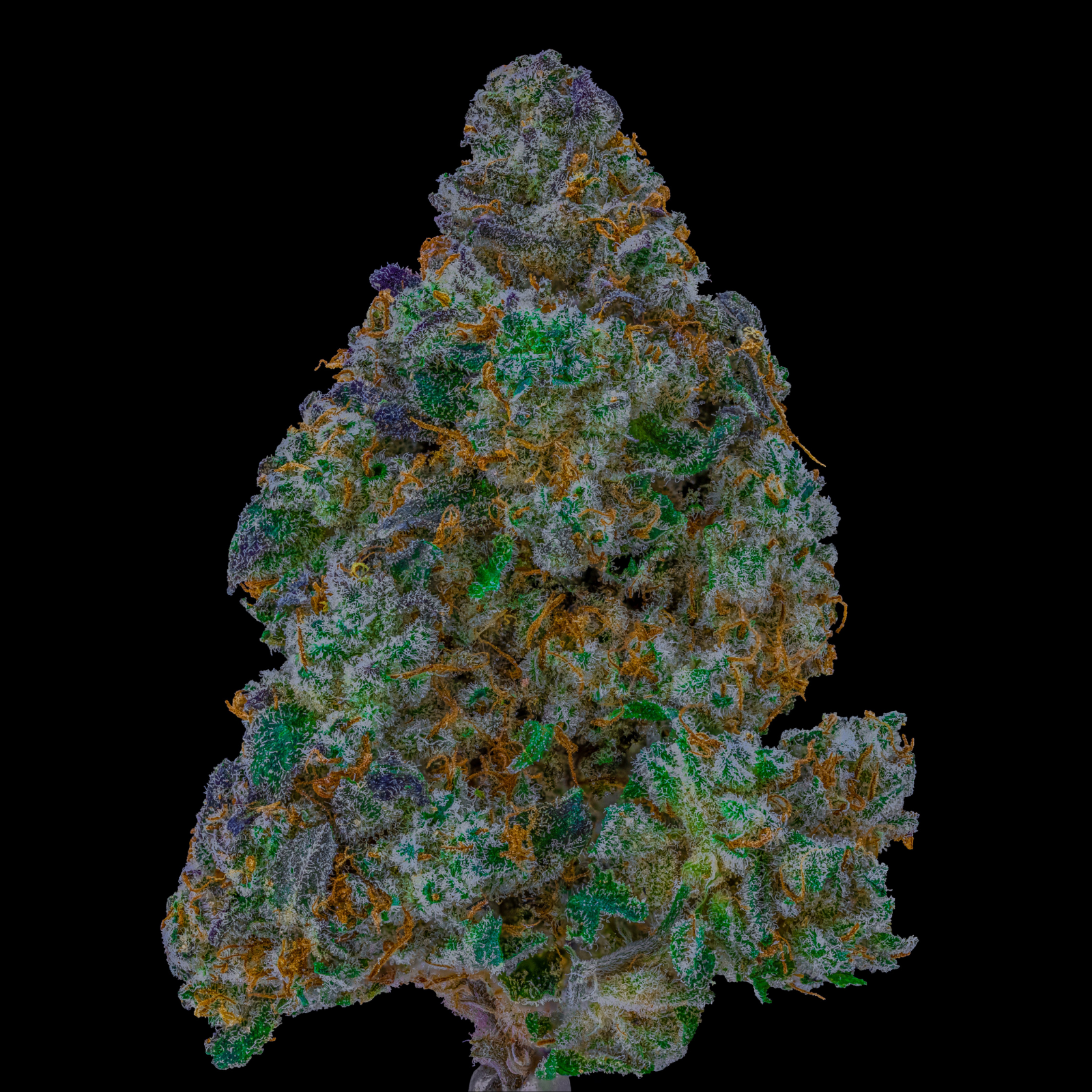 Kings Garden: Donkey Butter | Leafly