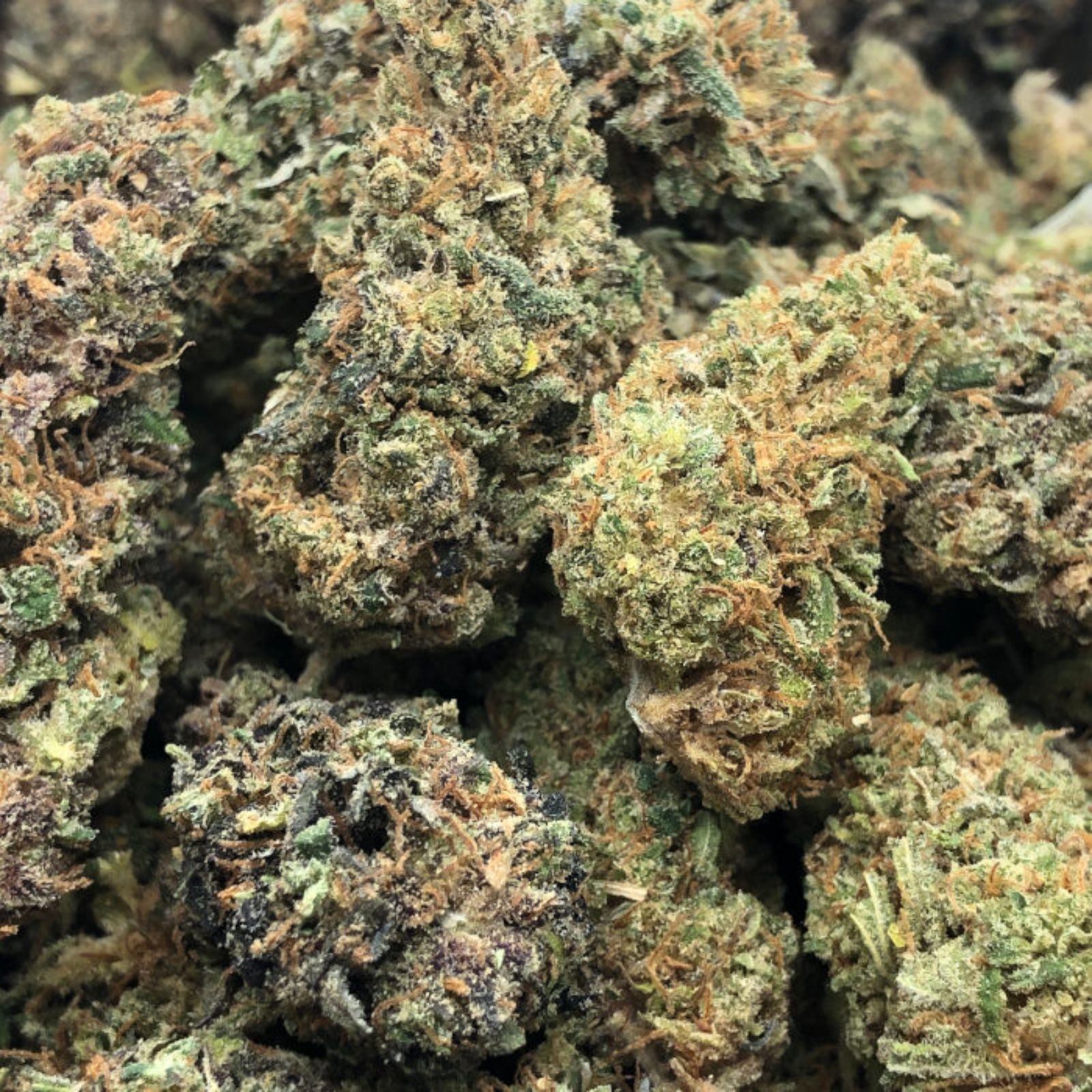 Clone Connect: Suver Haze Ultra Premium CBD Flower | Leafly