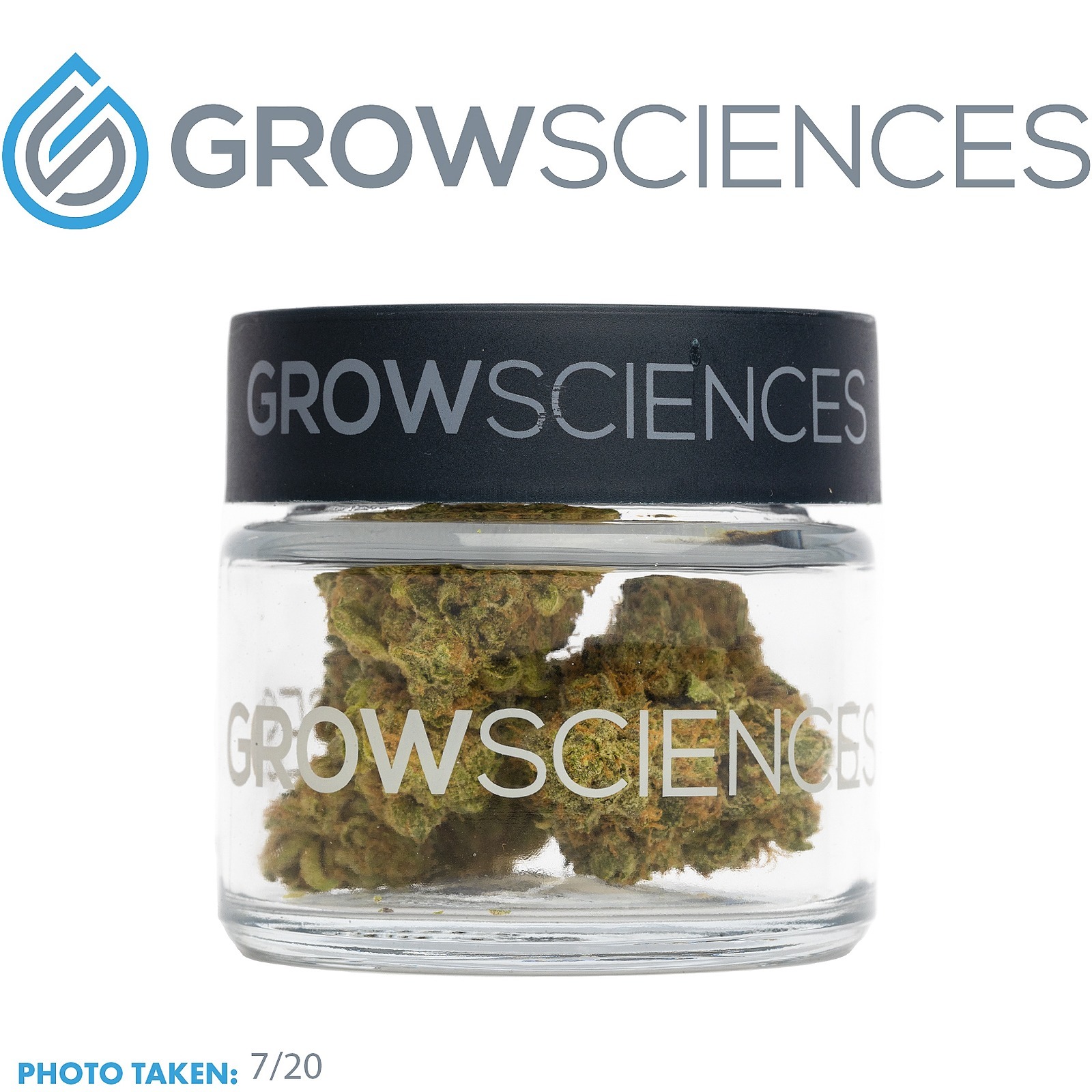 Grow Sciences: Rain Mints (3.7) | Leafly