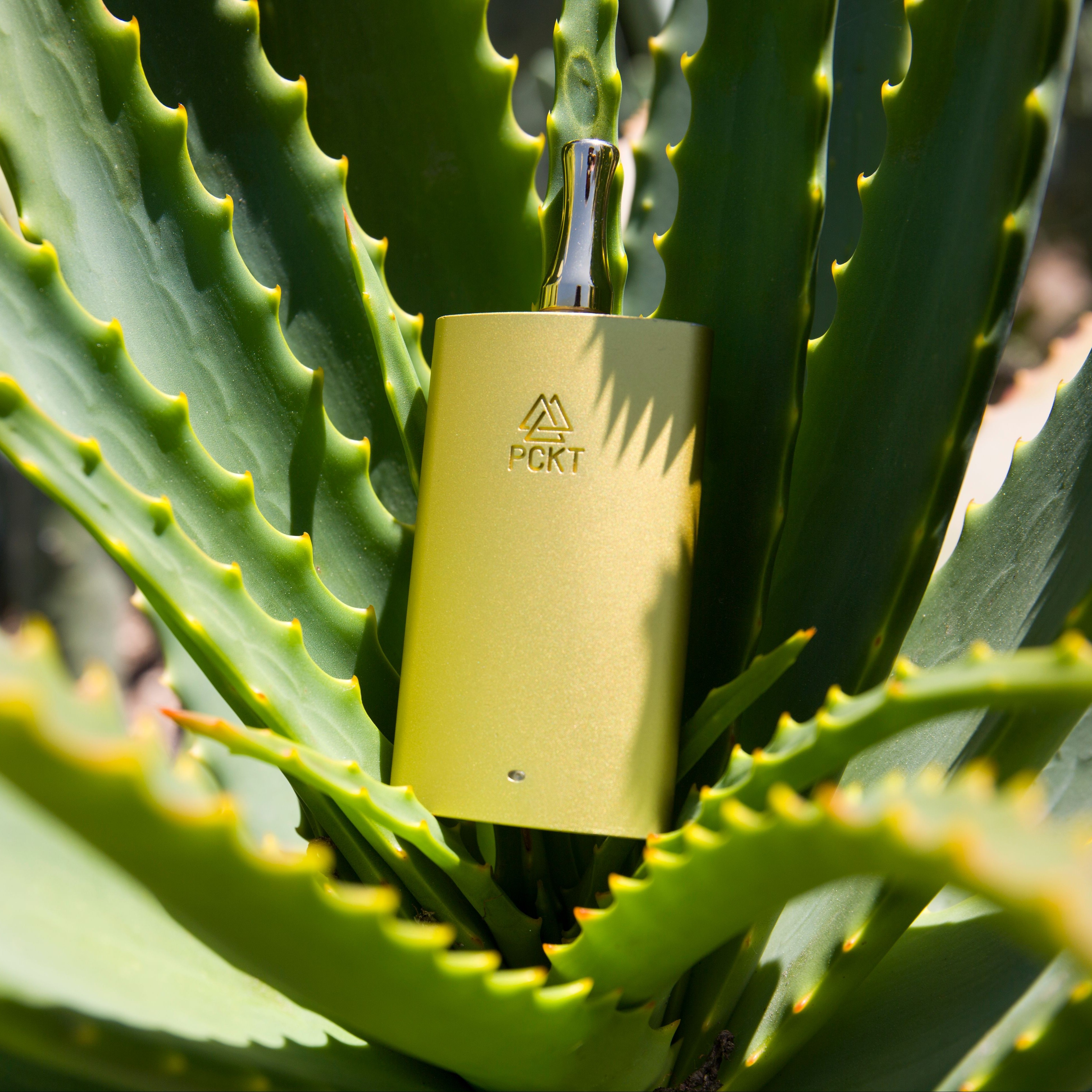 PCKT Vapor: PCKT VAPOR - Arctic Lime | Leafly