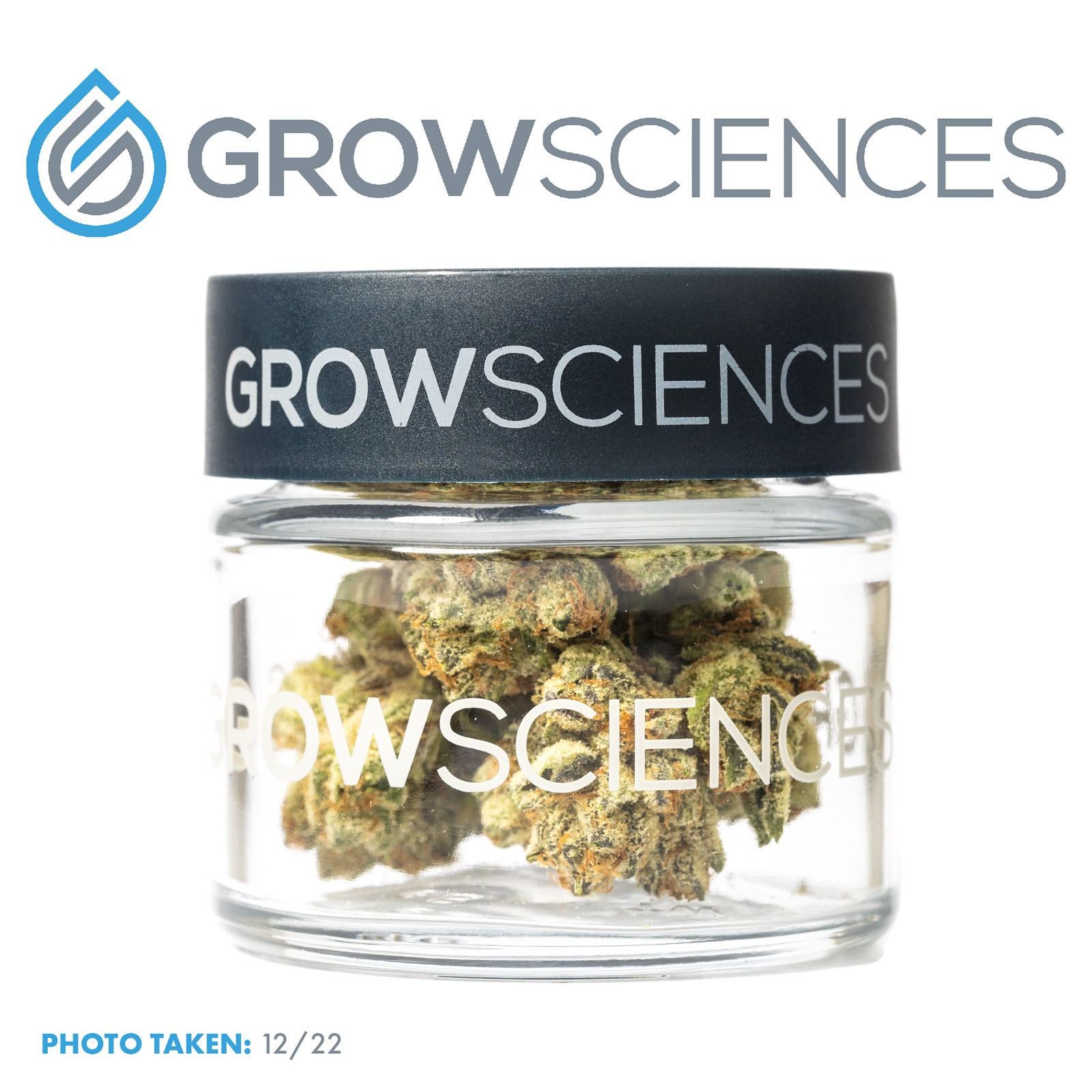 Grow Sciences: Secret Triangle | Leafly