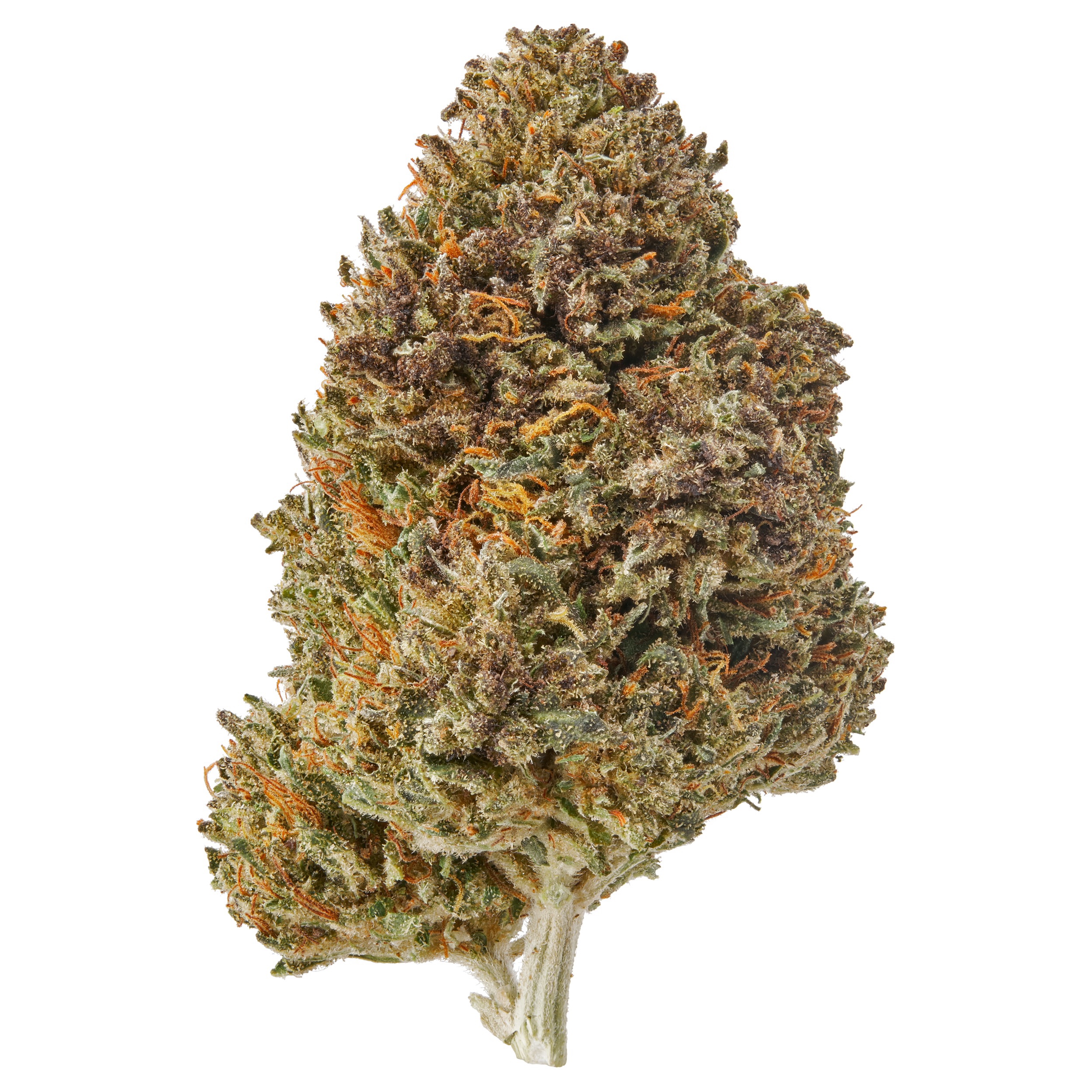 Jupiter Knights Hemp Co.: Bubba Kush Hemp Flower | Leafly
