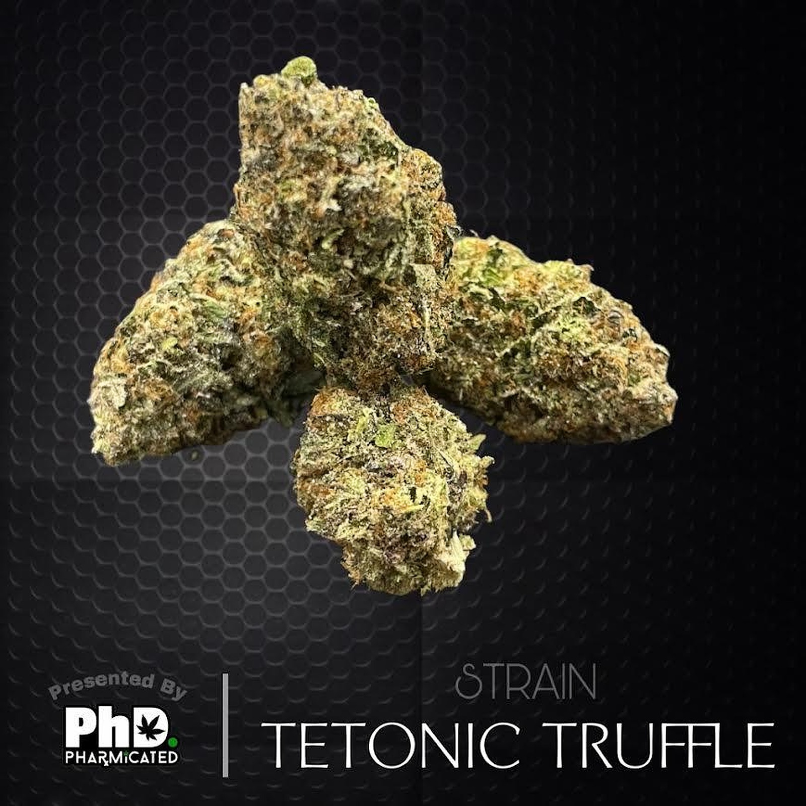 Pharmicated: PhD Indoor Flower - Tectonic Truffle | Leafly