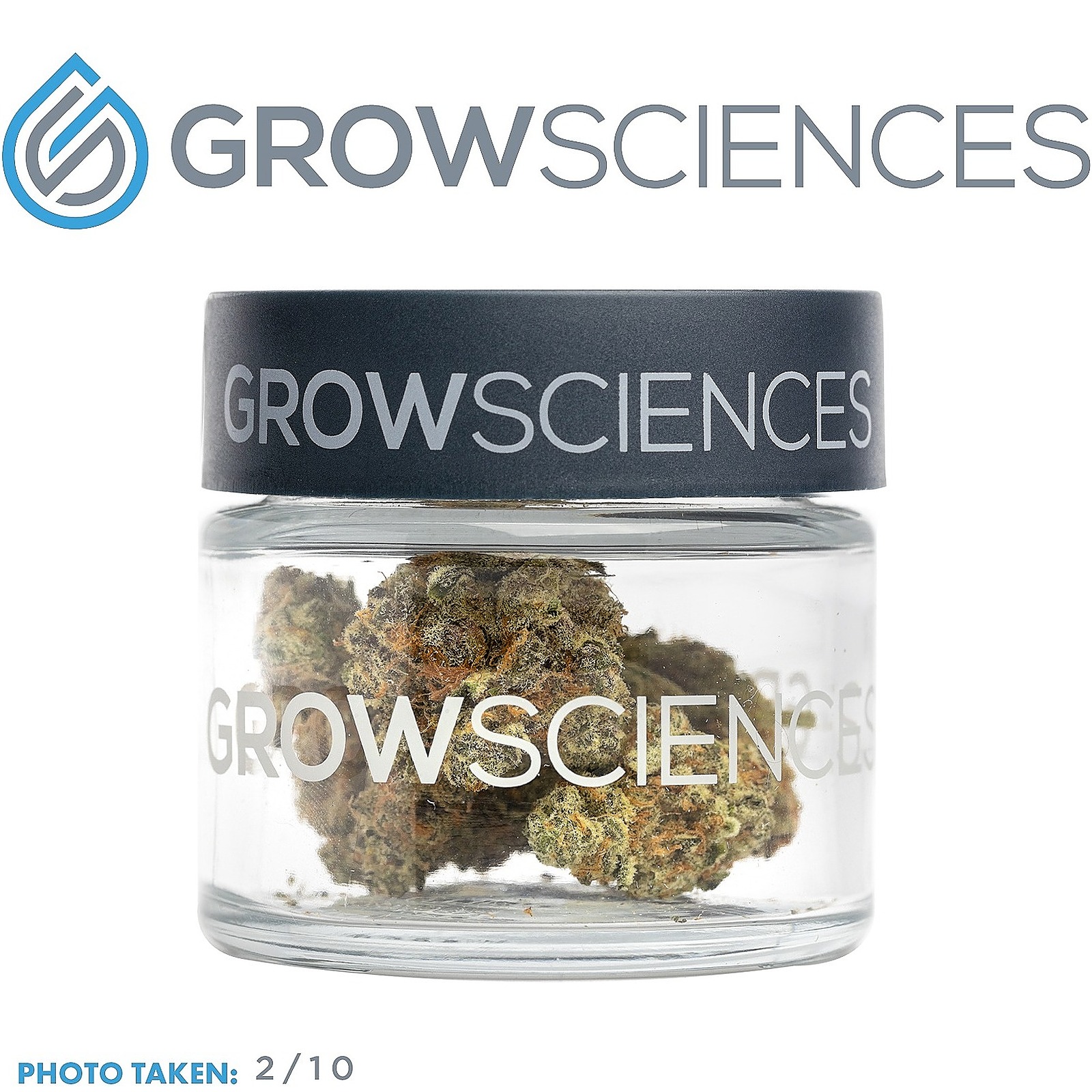 Grow Sciences: Frozen Jelly (3.7) | Leafly