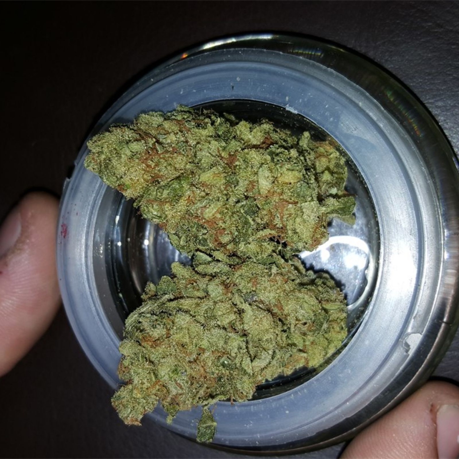 Sixtech: RudeBoi OG | Leafly