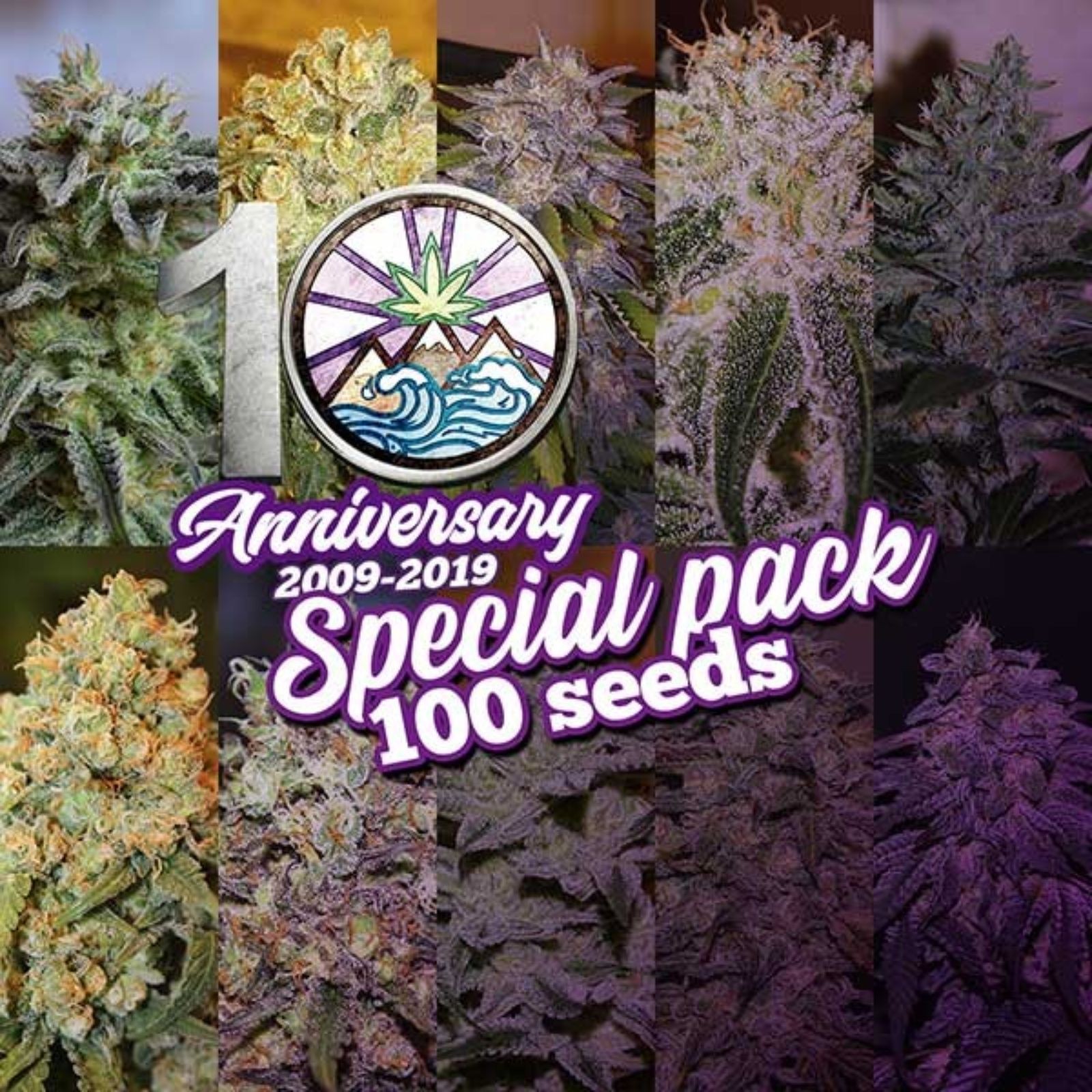 Delicious Seeds: 10th Anniversary Collection - 100 Seeds | Leafly