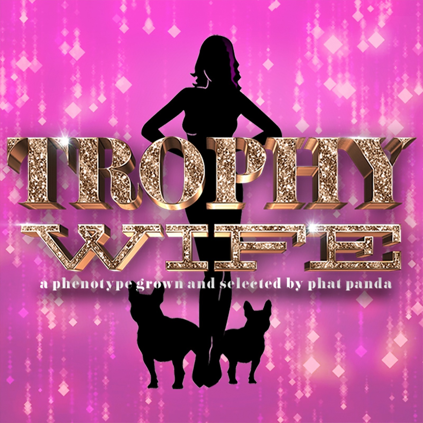 Phat Panda: Trophy Wife Mega Roll 10g | Leafly