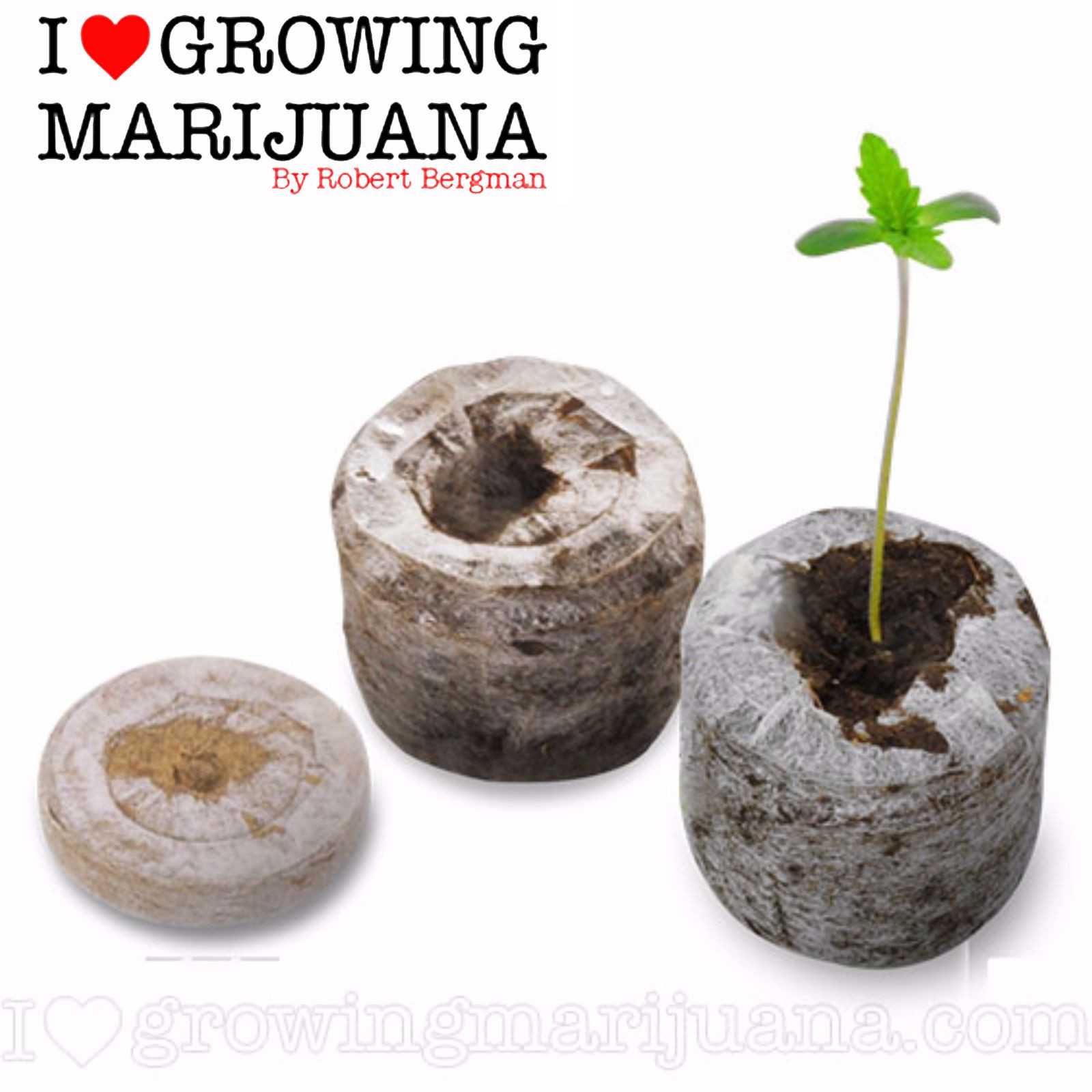 I Love Growing Marijuana: Marijuana Germination Plugs | Leafly