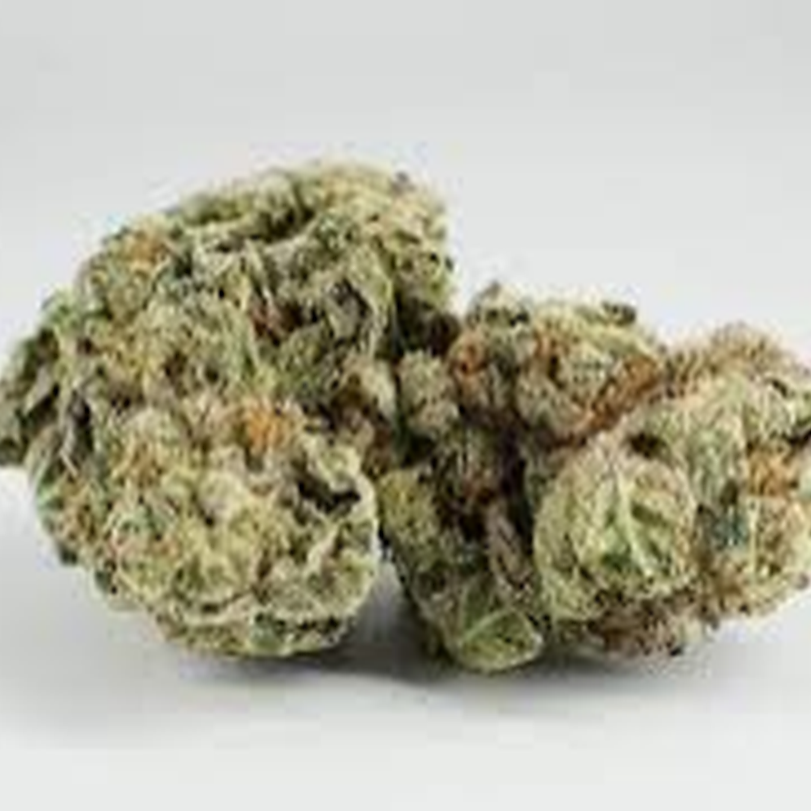 The Seed Connect: AUTO WATERMELON OG SEEDS | Leafly
