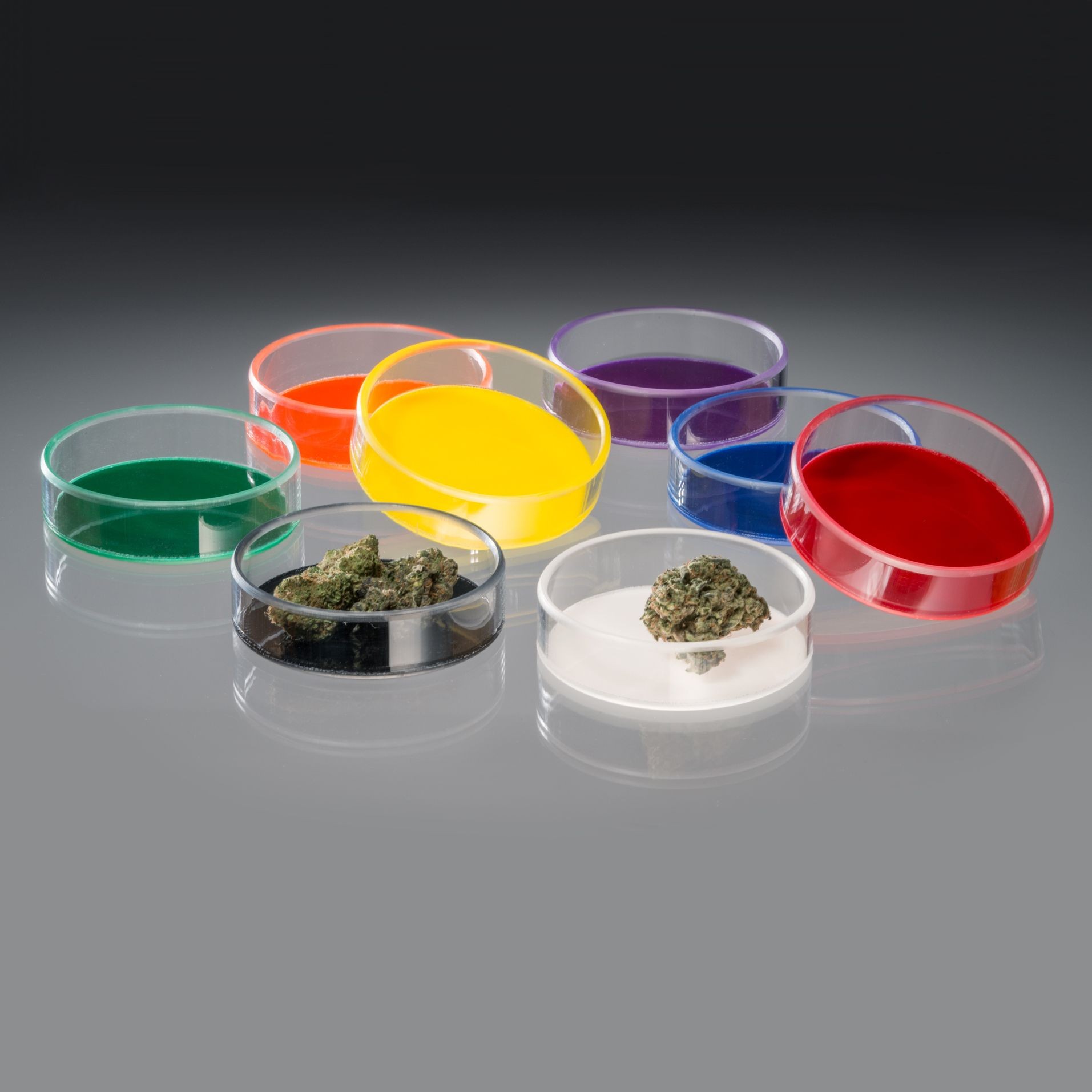 Bud Bar Displays®: Bud Detri™ Dishes | Leafly
