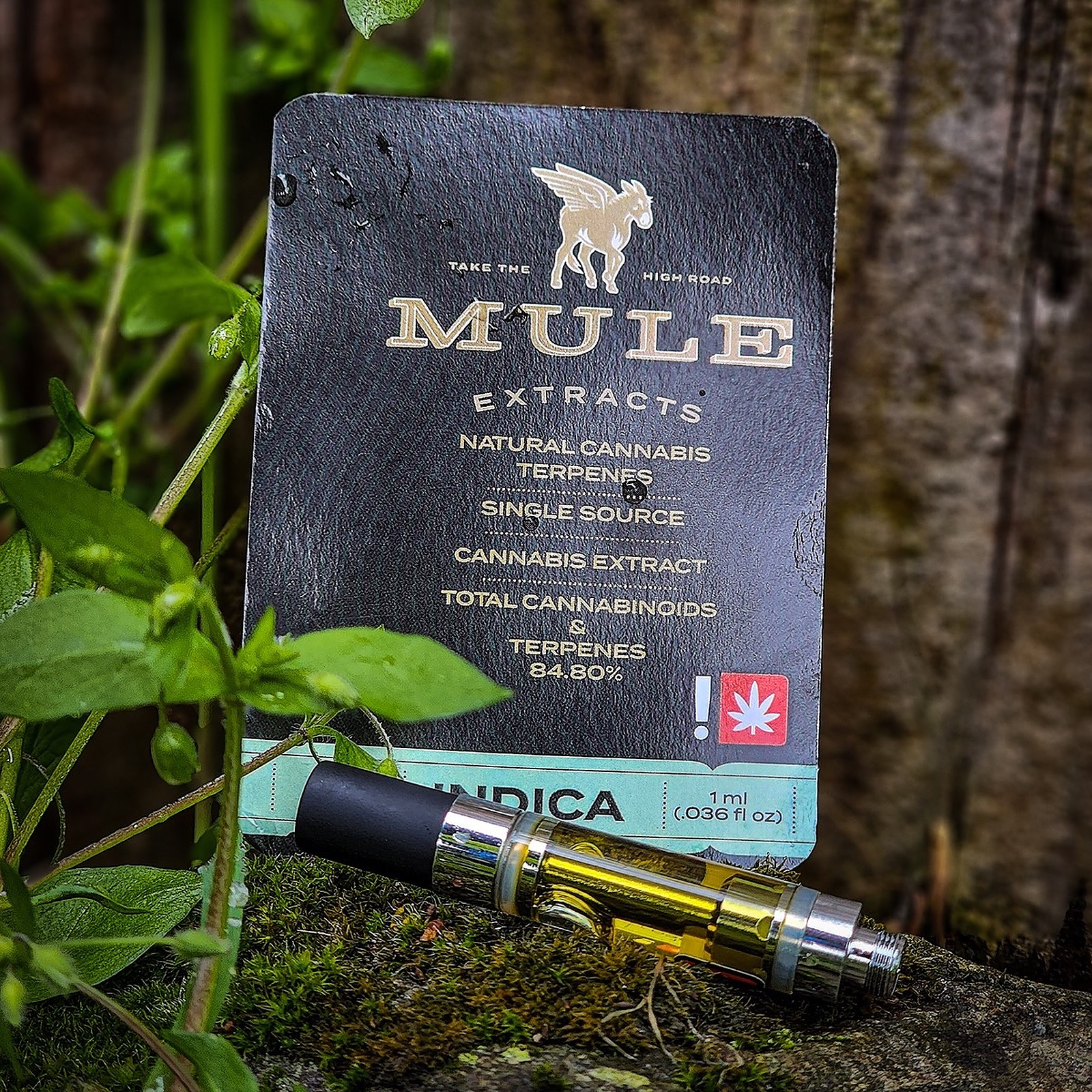 Mule Extracts: 1g Cart Sour Blueberry Muffin 82.9% Indica | Leafly
