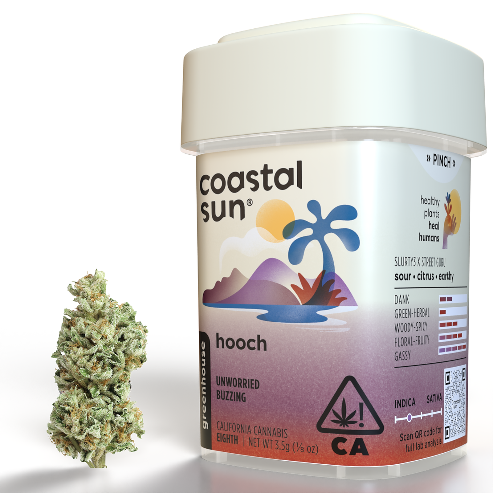 Coastal Sun Farm: Hooch Greenhouse Flower | Leafly