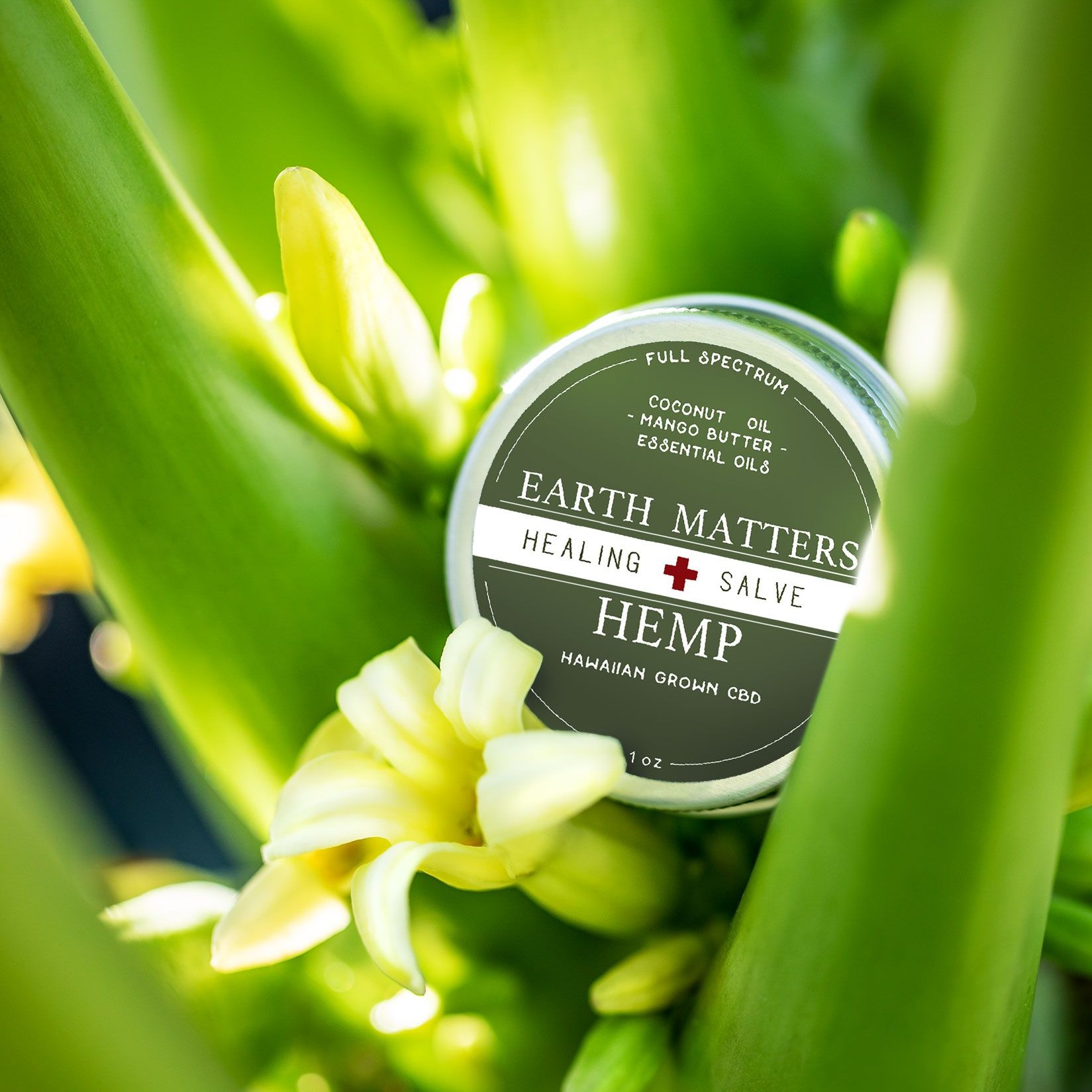 ProCannaPix - Creative Marketing Services: CBD & Hemp Product ...