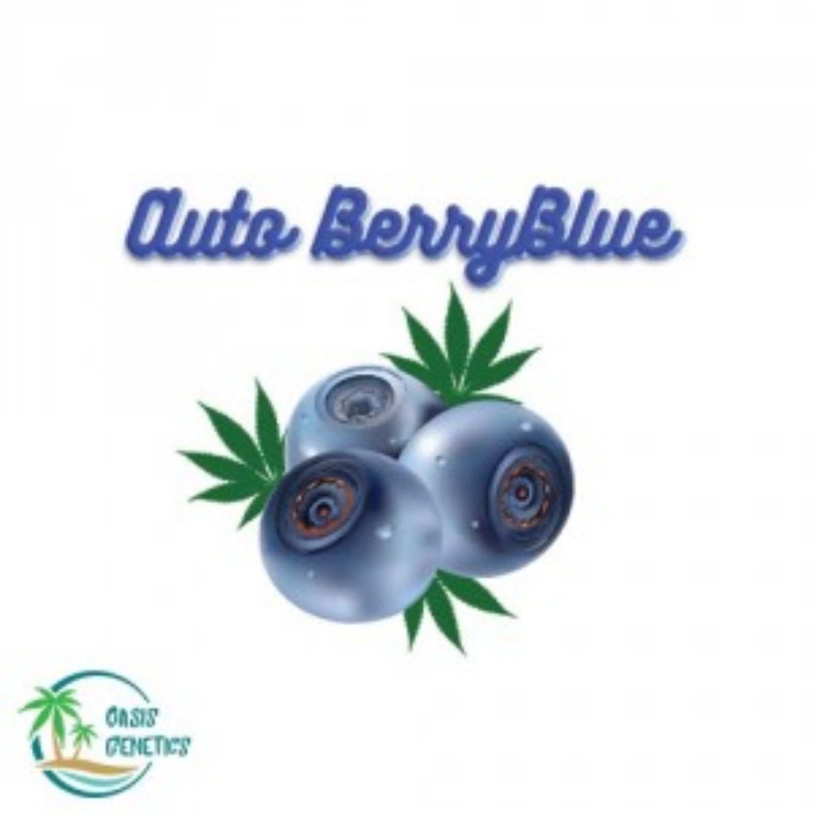 usmarijuanaseed.com A division of ISOseeds LLC: Auto Berry Blue ...