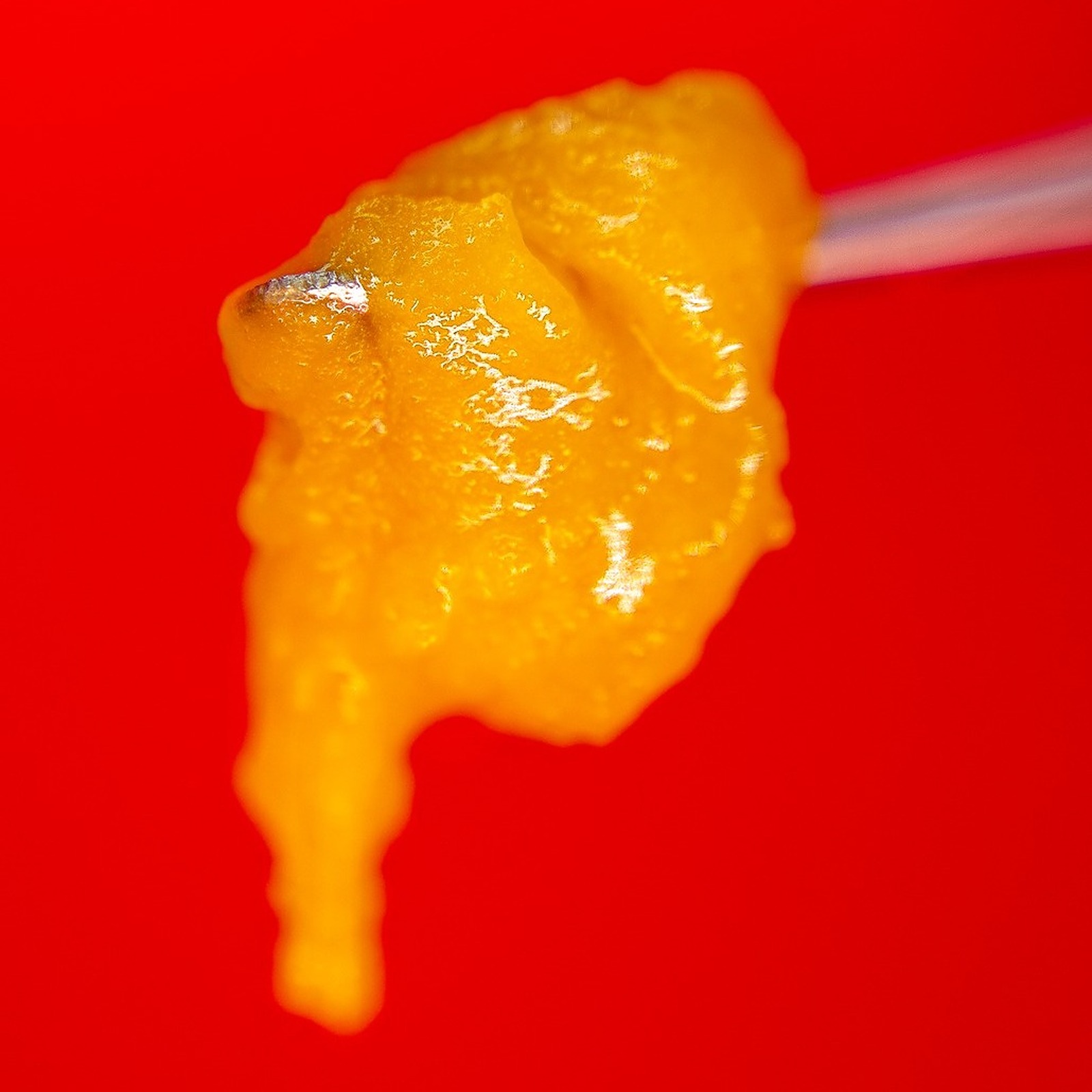 Funk Extracts: Black Cherry Punch Live Batter | Leafly
