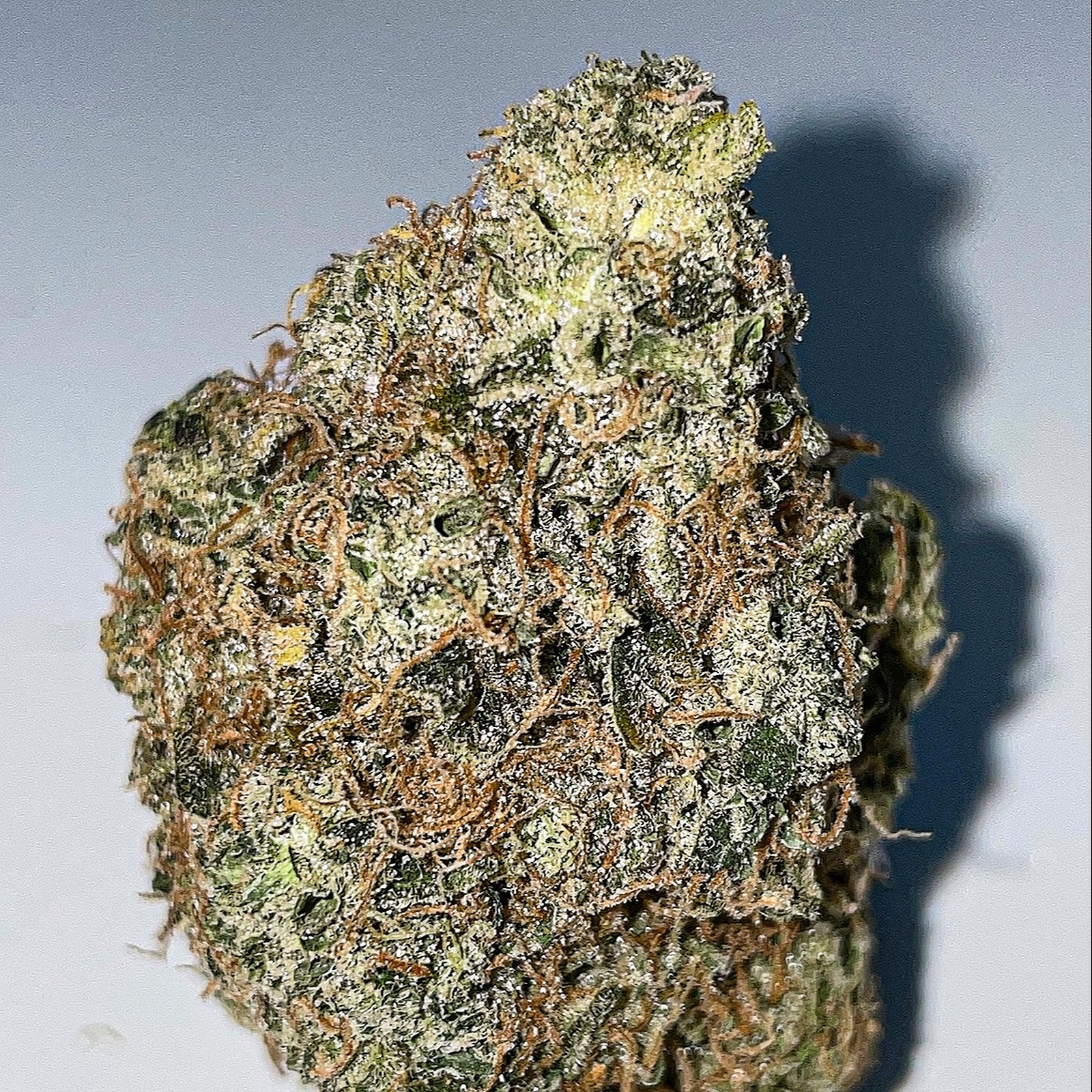 7 Leaf OK: Kimbo Kush | Leafly