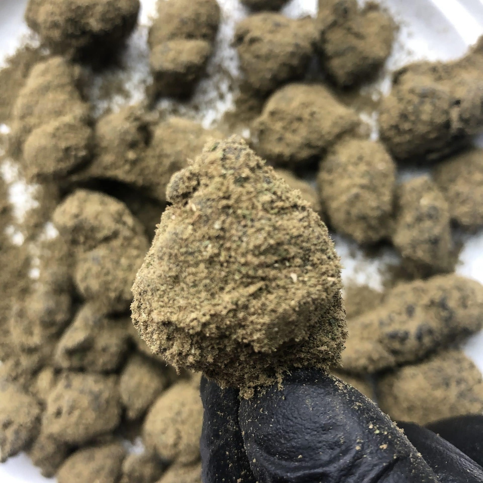 Oregon Hemp Flower: Bubba Kush Delta 8 Moon Rocks | Leafly