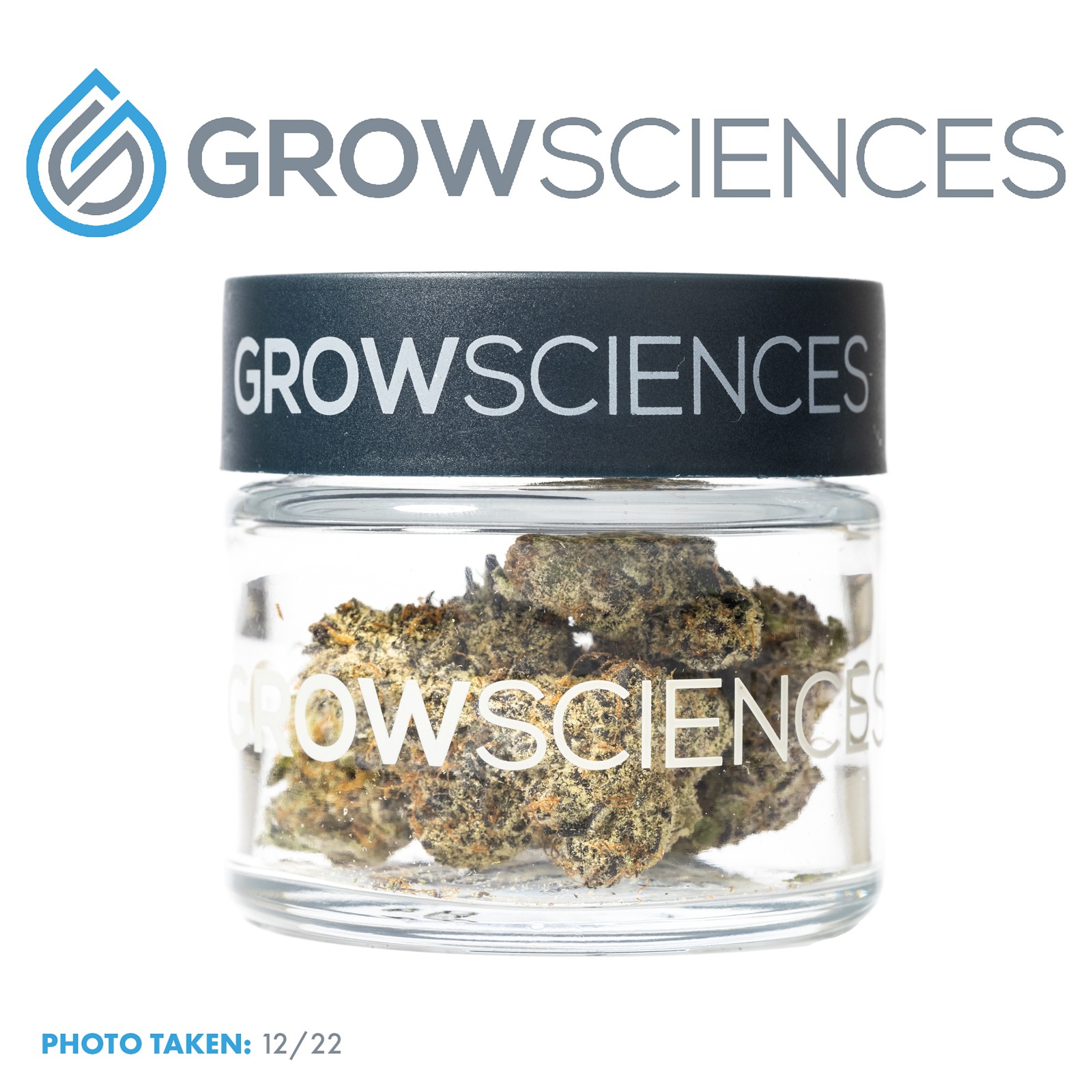 Grow Sciences: Lime Dog OG (3.7) | Leafly