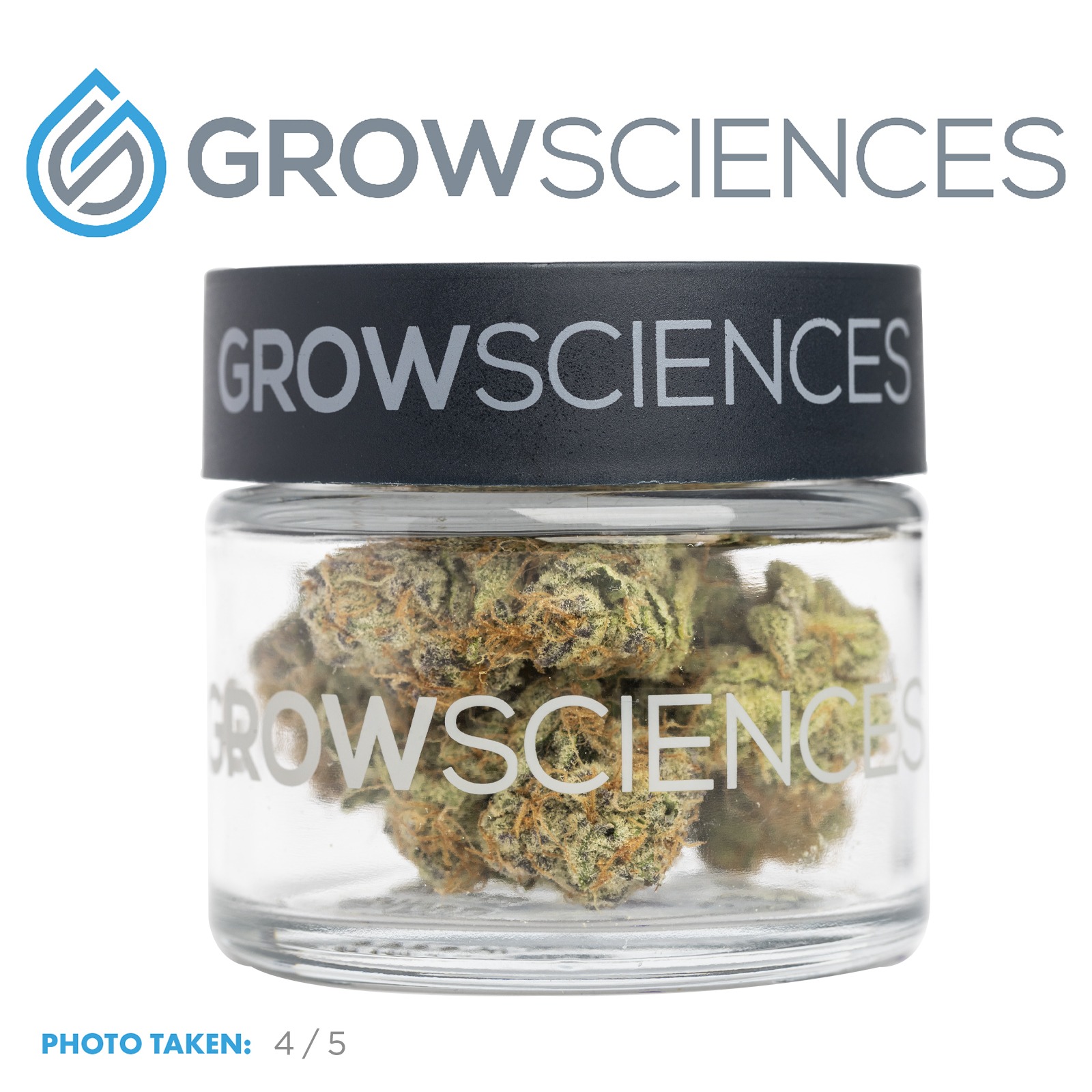 Grow Sciences: Sherbert Punch (3.7) | Leafly