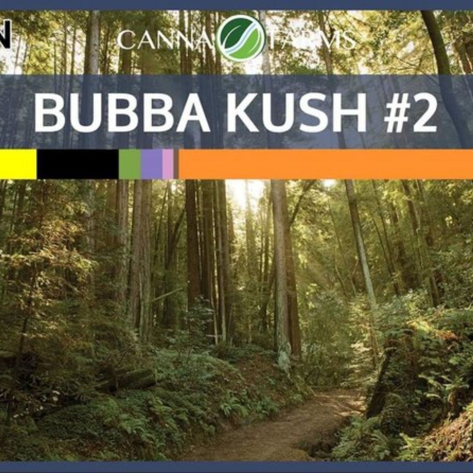 Canna Farms: Bubba Kush #2 | Leafly
