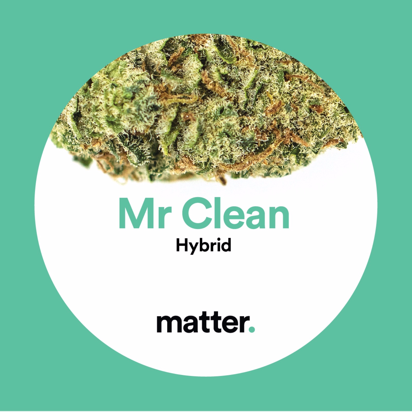 matter.: Mr. Clean | Leafly