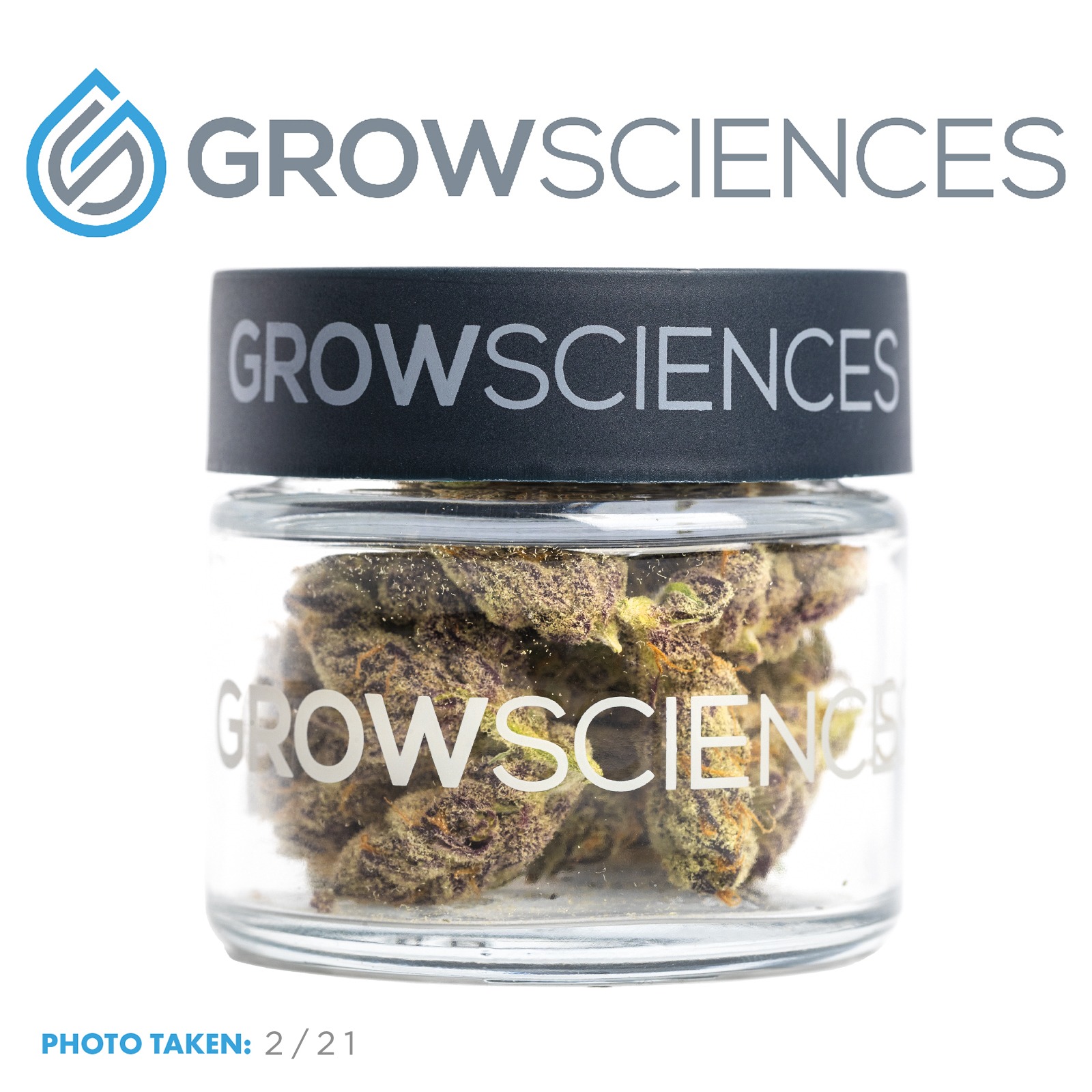 Grow Sciences: Chimera (3.7) | Leafly