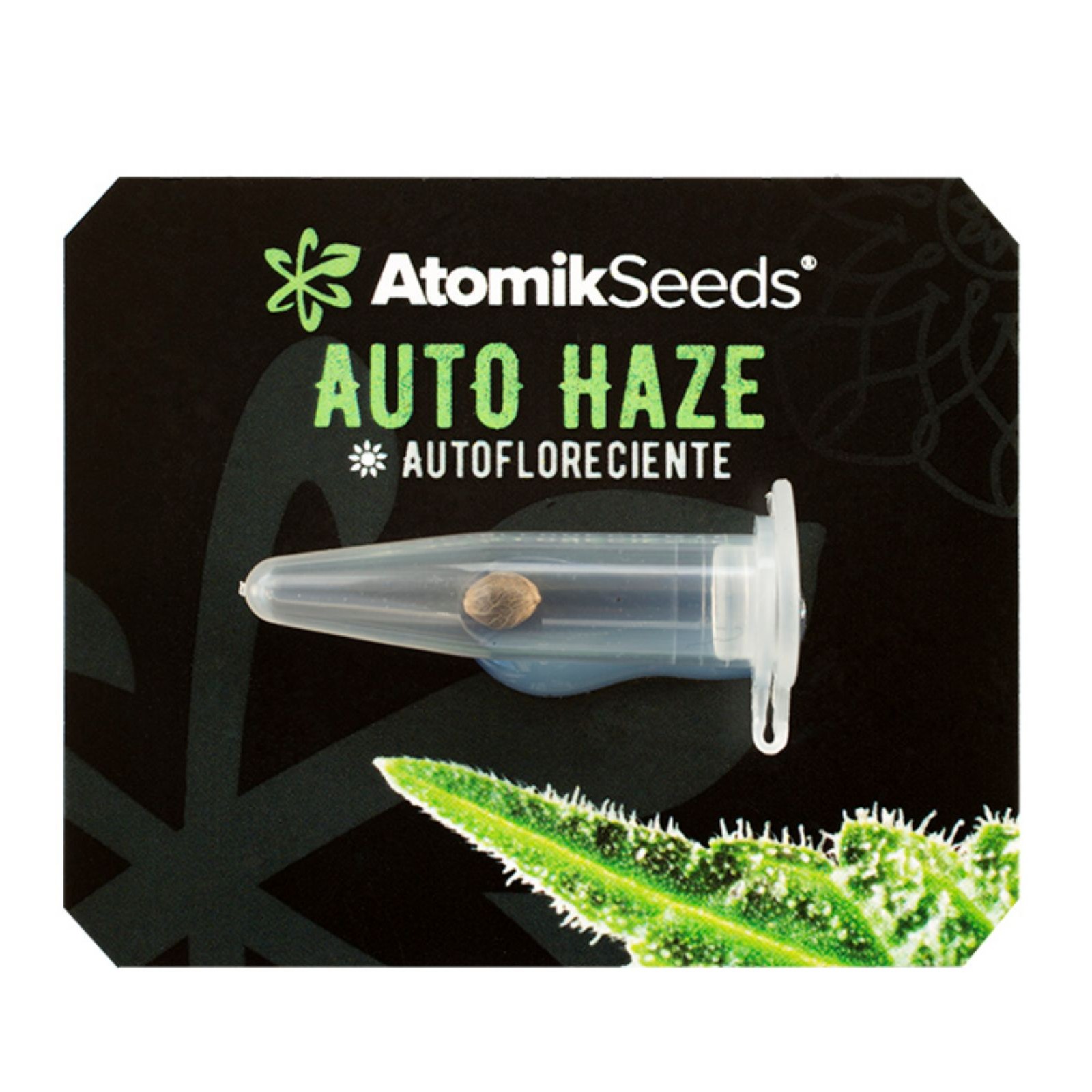 Atomik Seeds: Auto Haze autoflowering feminized cannabis seeds | Leafly