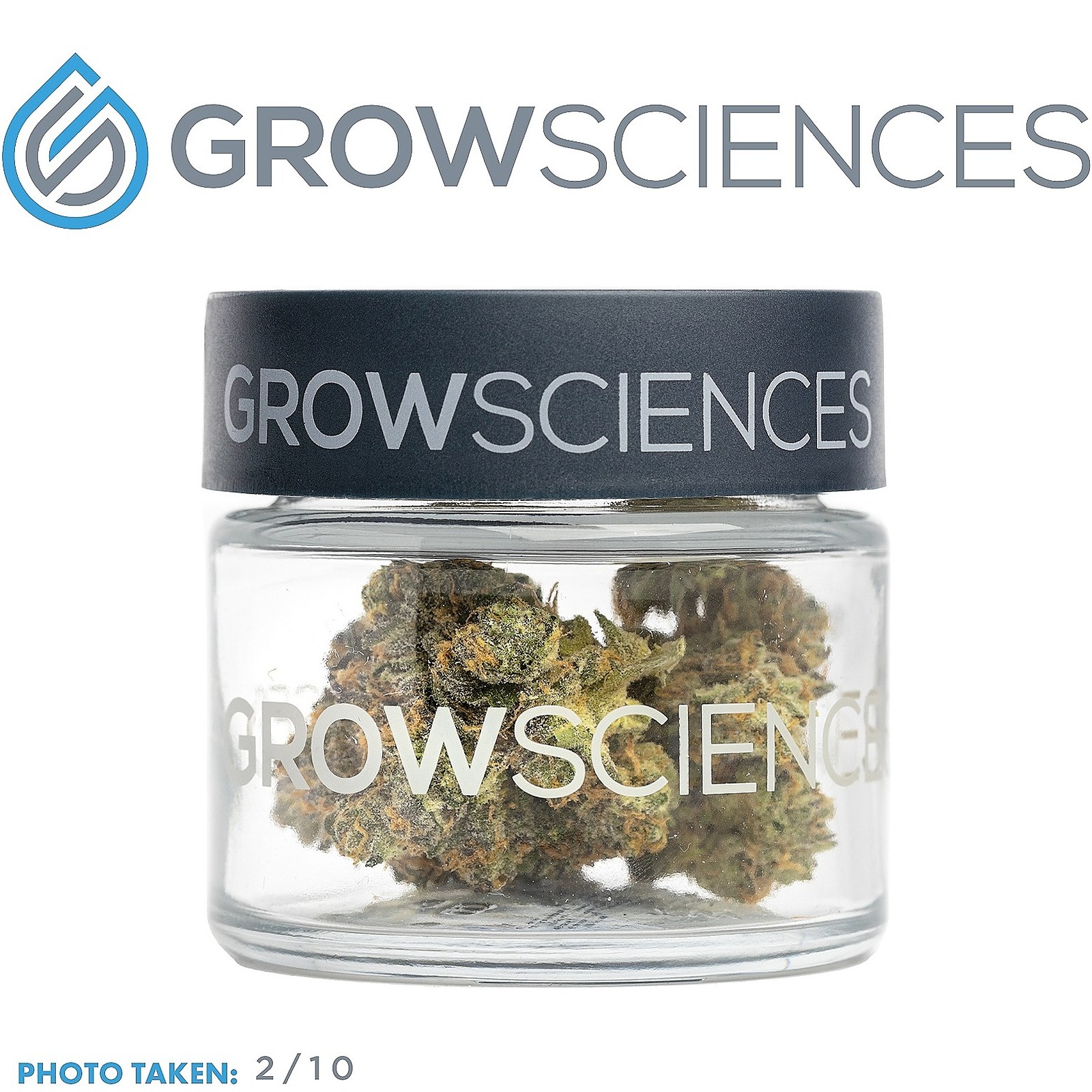 Grow Sciences: Gary Payton (3.7) | Leafly