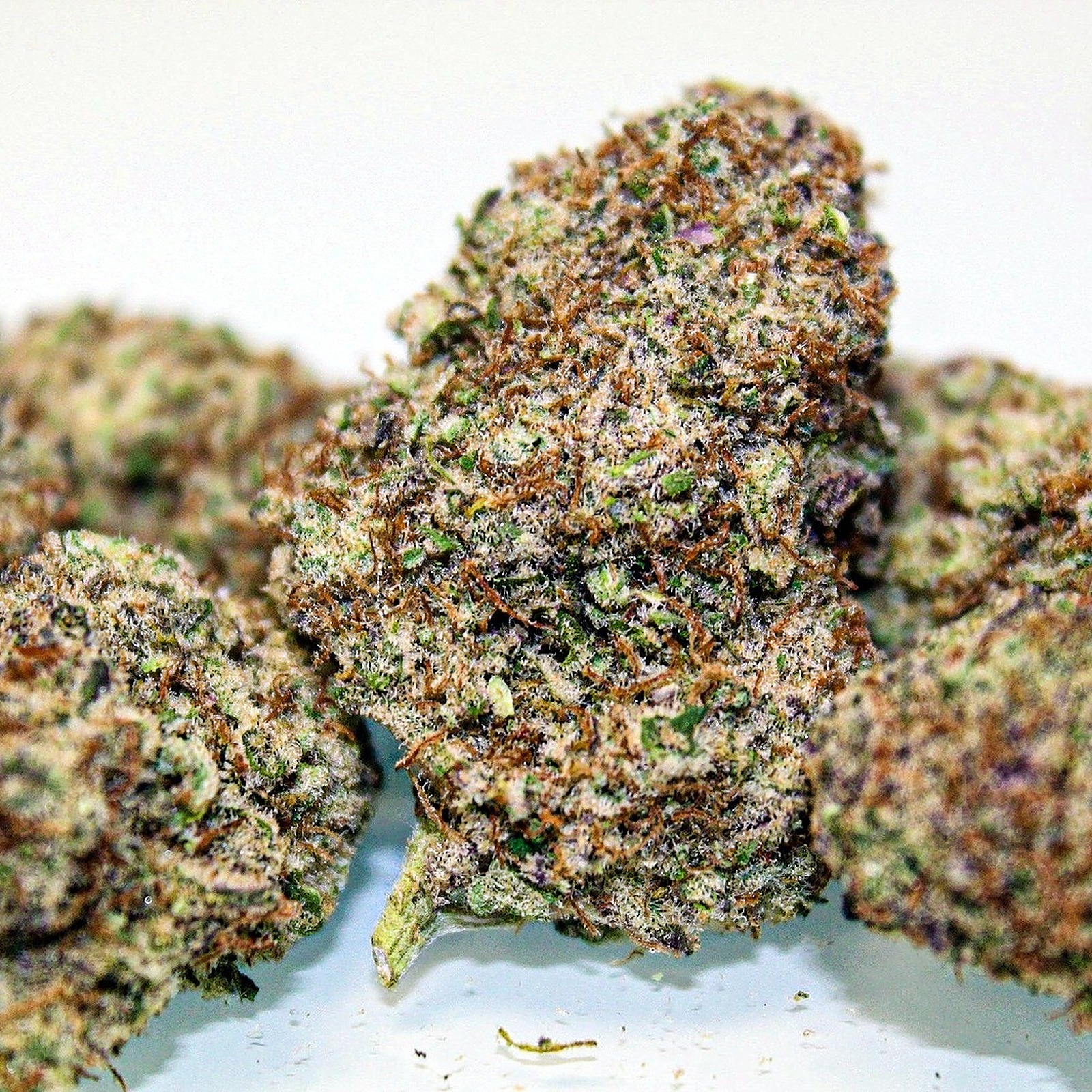 7 Leaf OK: MAC | Leafly