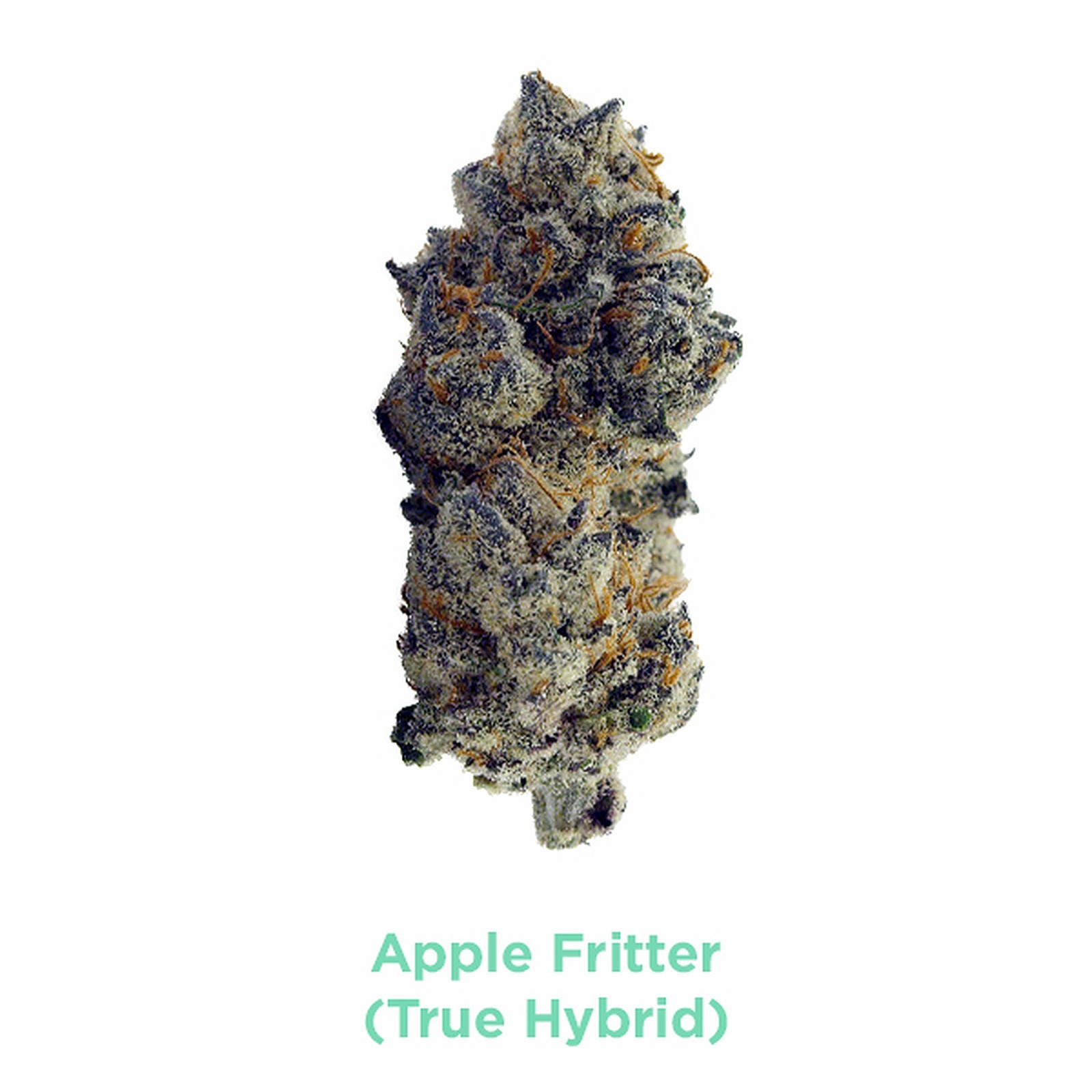 Marijuana Clones Online: Apple Fritter Seeds | Leafly
