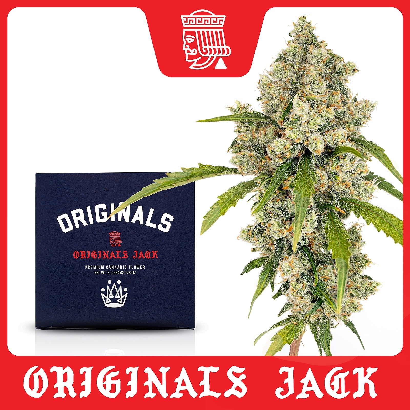 The Originals: Originals | Jack Herer - 3.5g Flower | Leafly