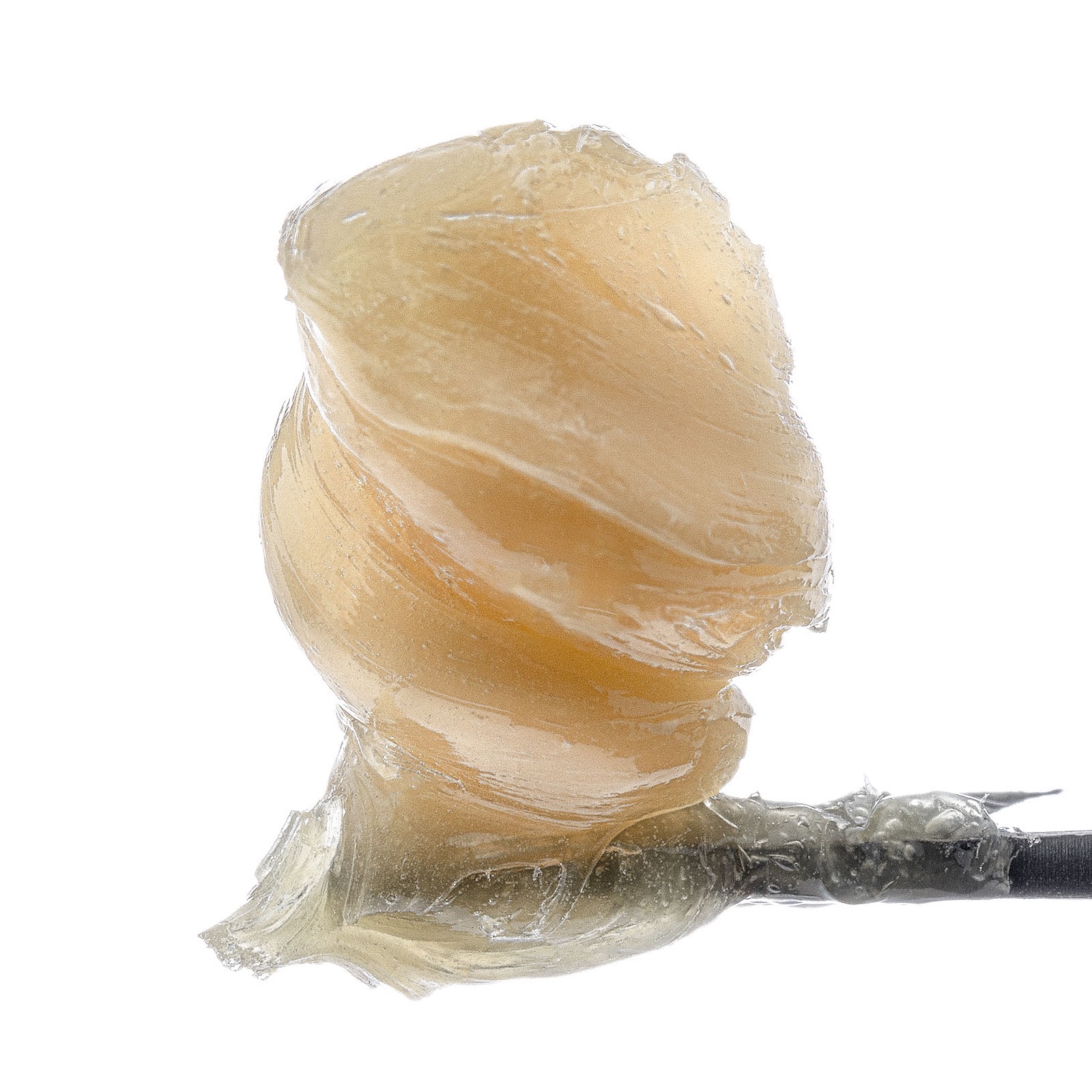 West Coast Cure: Honey Bananas Live Rosin Fresh Press | Leafly