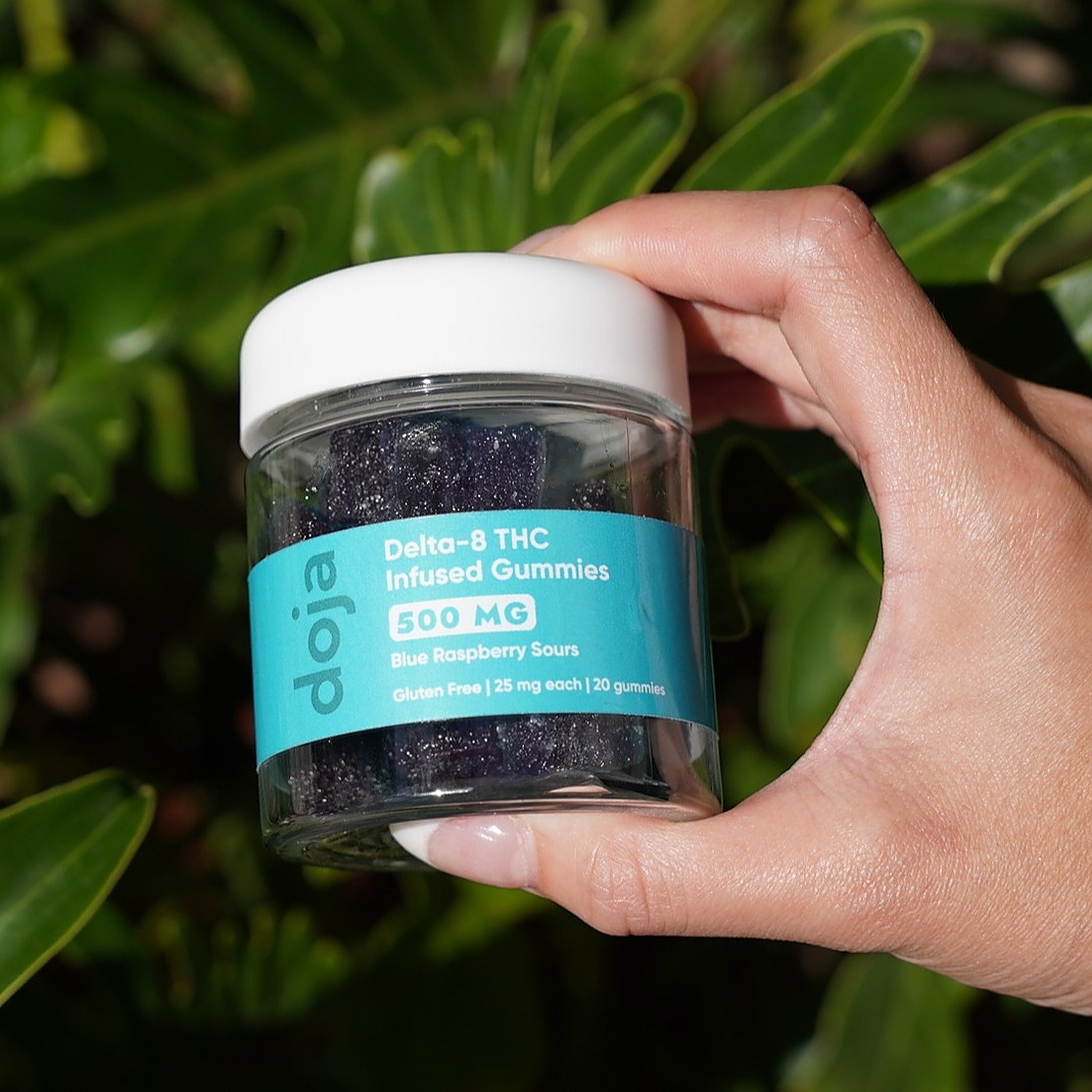 Doja Hemp - Buy Premium Delta 8 THC Carts, Disposables, & Gummies ...