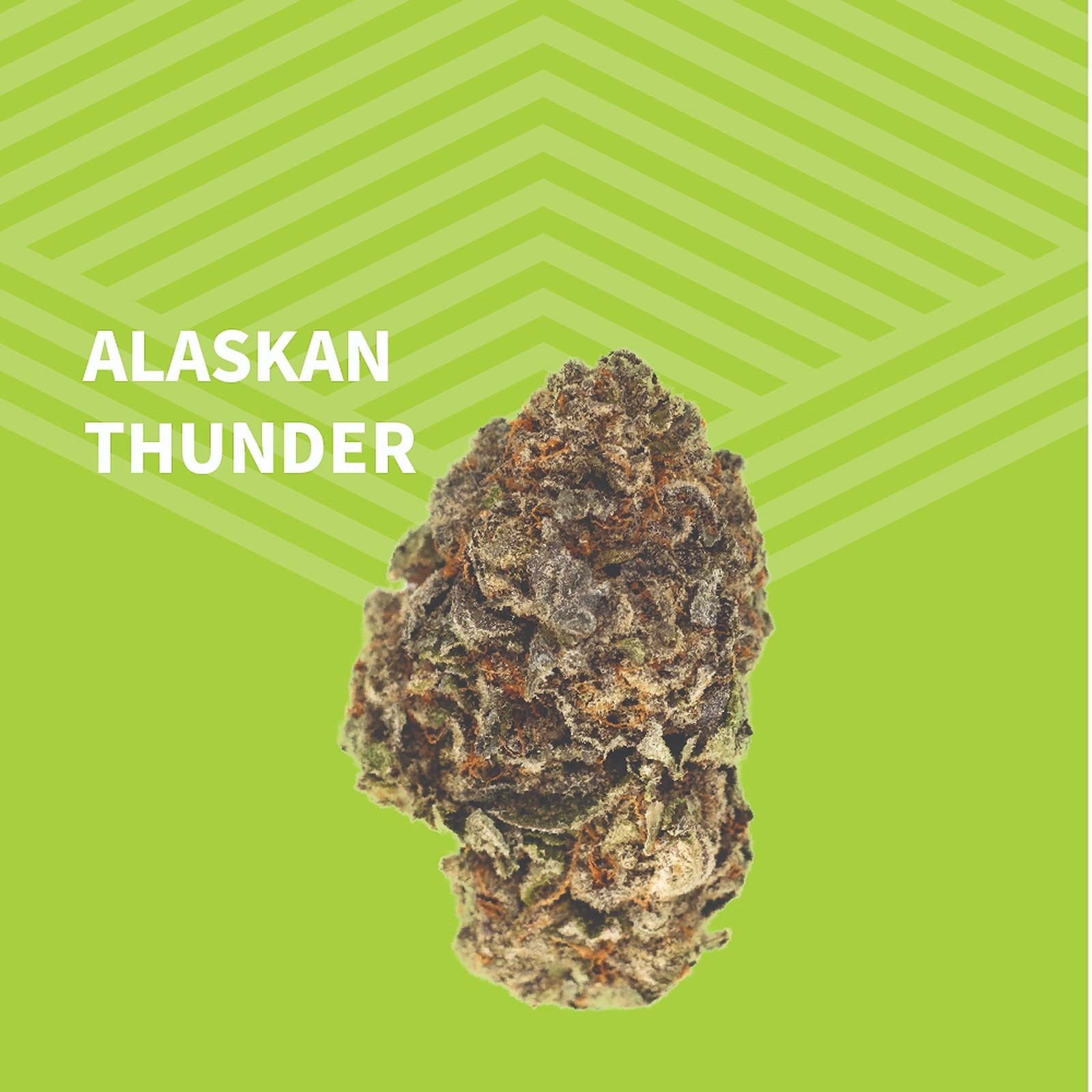 Pure Dakota: Alaskan Thunder | Leafly