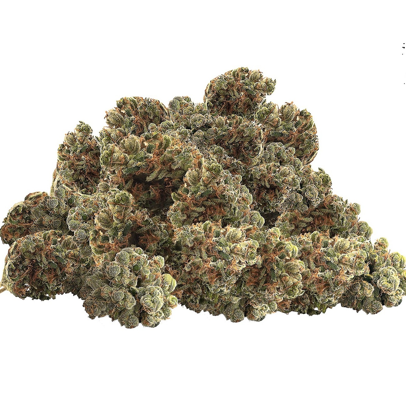 Twd.28: Twd.28 Himalayan Kush Oz. | Leafly